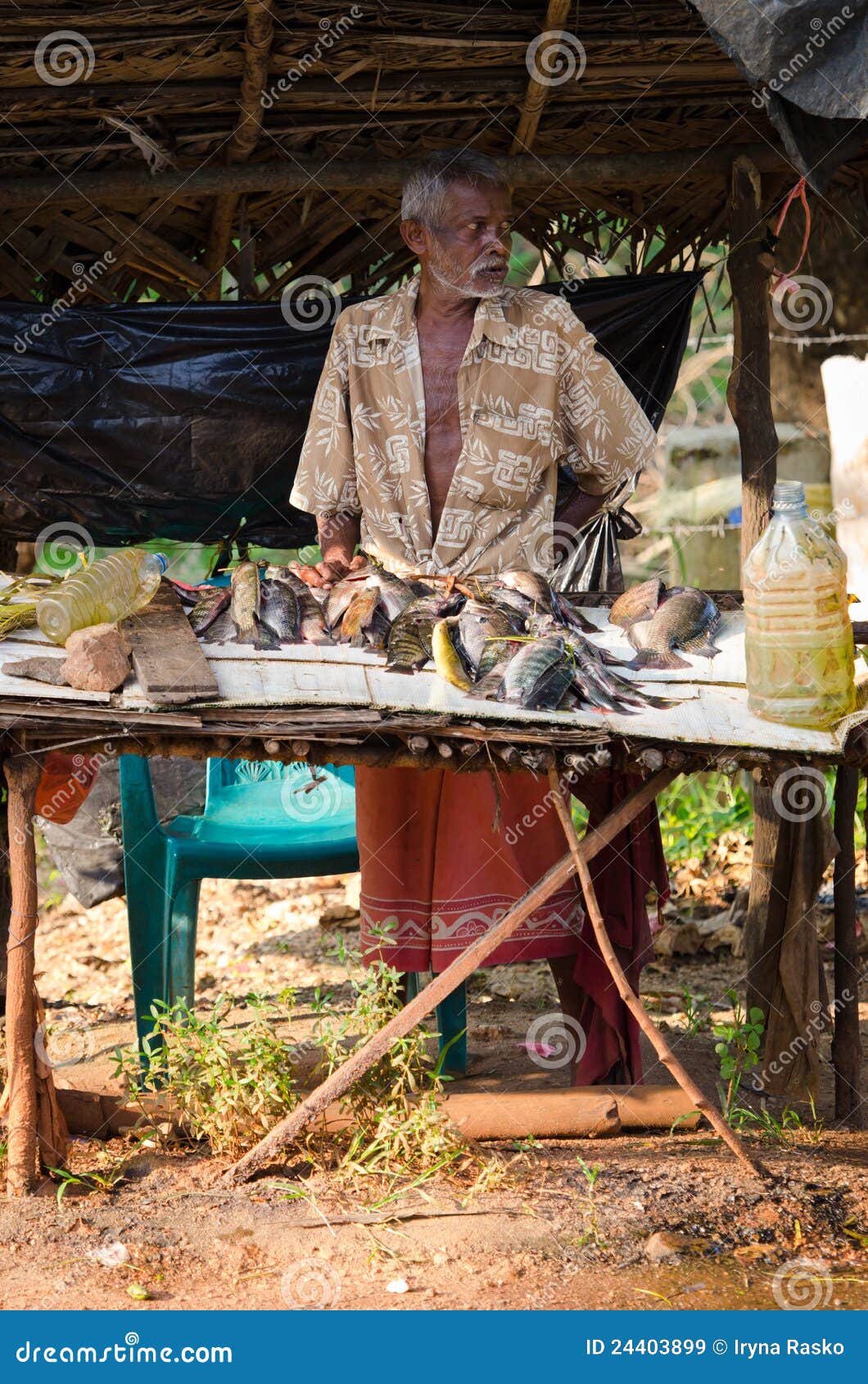 Traditional Sri Lankian Open Fish Market Editorial Stock Image - Image ...