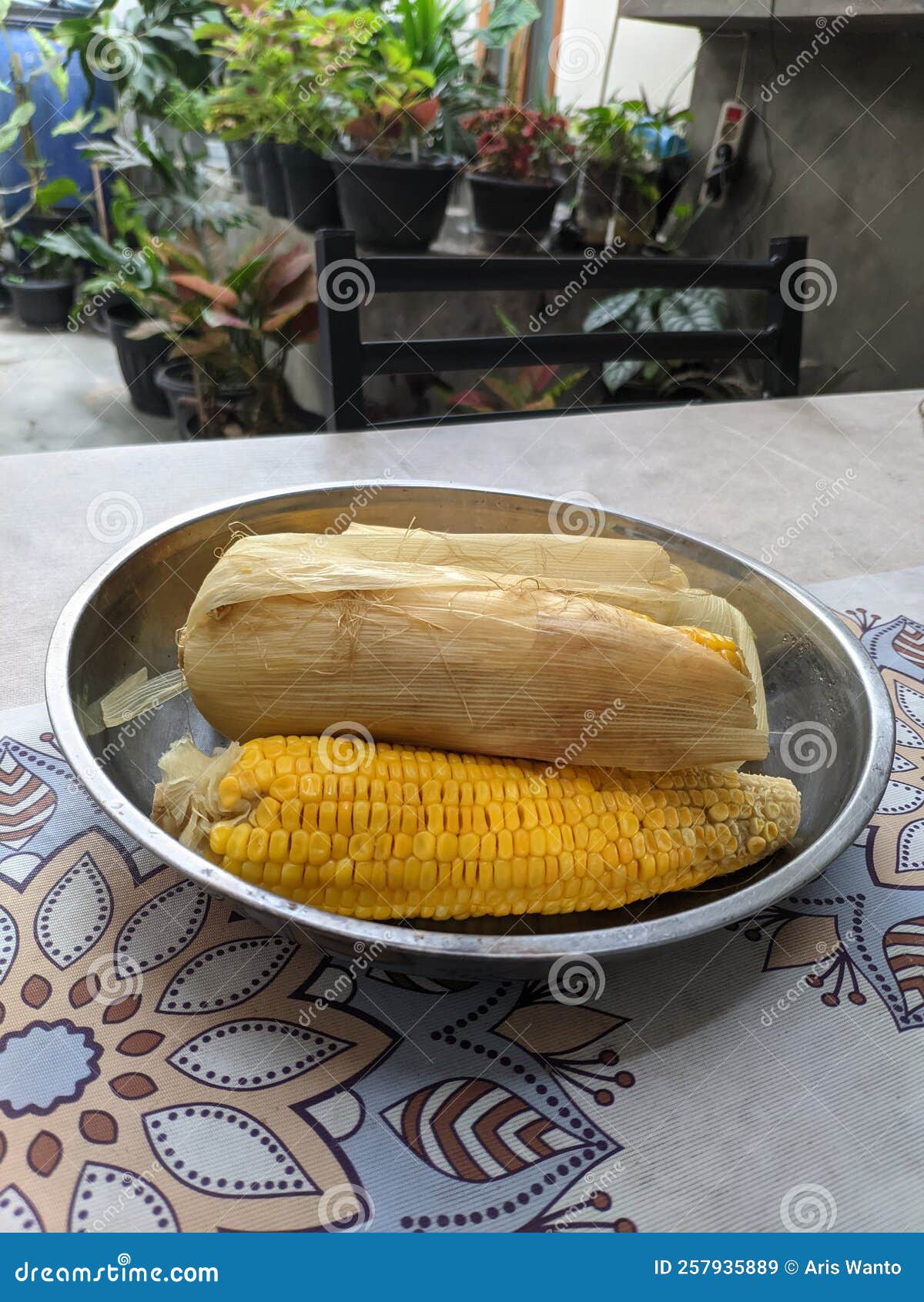 Traditional Steam Corn stock image. Image of corn, plant - 257935889