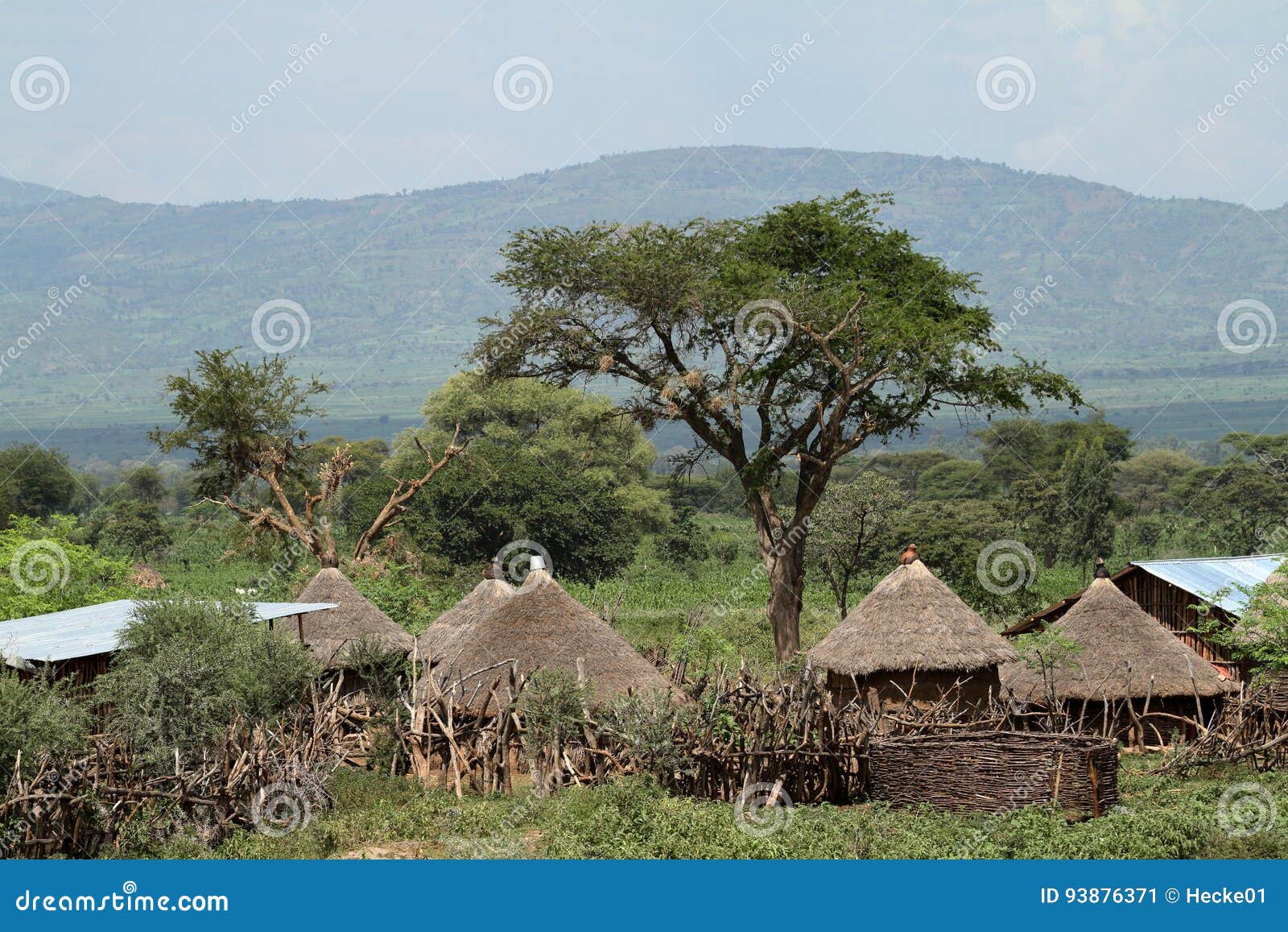 Traditional Straw Huts in the Omo Valley of Ethiopia Stock Image ...