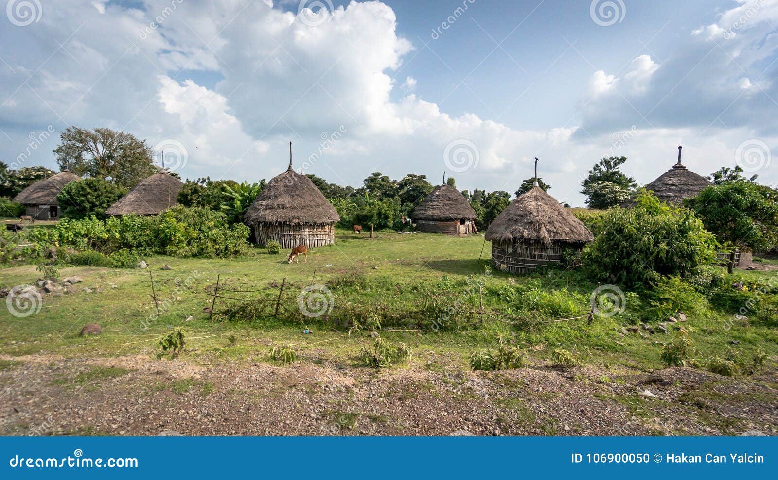Traditional Straw Huts in the Omo Valley of Ethiopia Editorial Image ...
