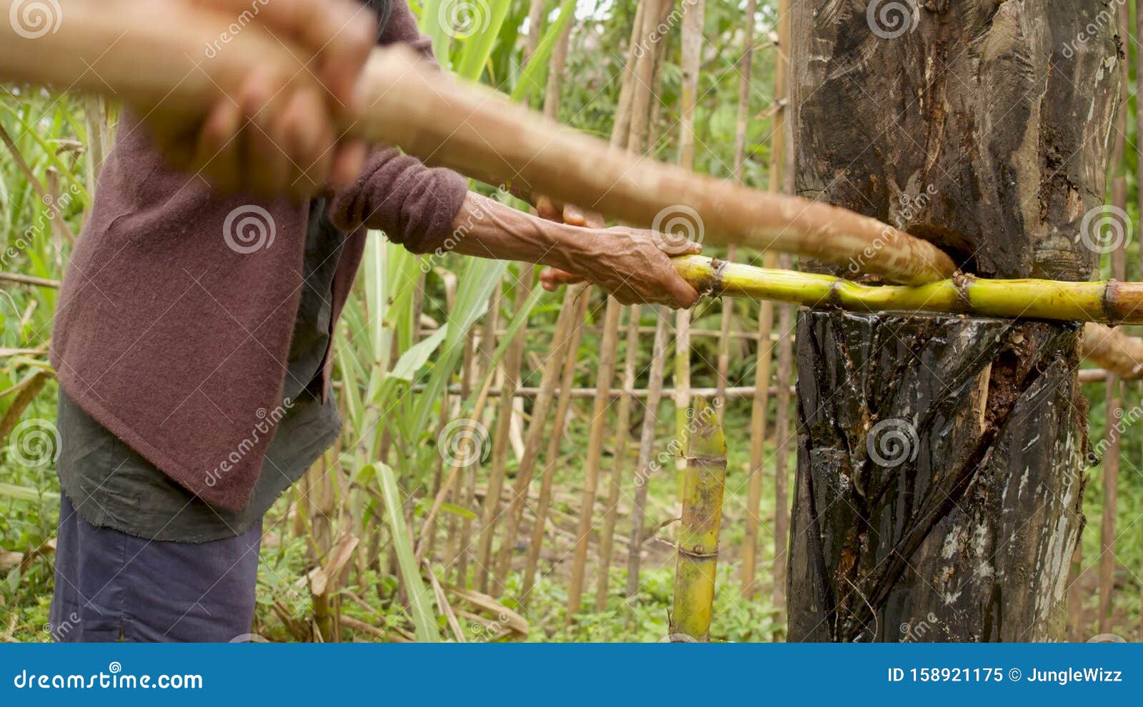 Traditional Sugarcane Processing Stock Video - Video of juice, sugar ...