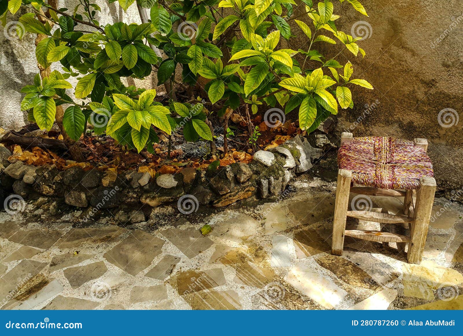 Traditional Chair beside a Tree. Stock Photo - Image of produce, chair ...