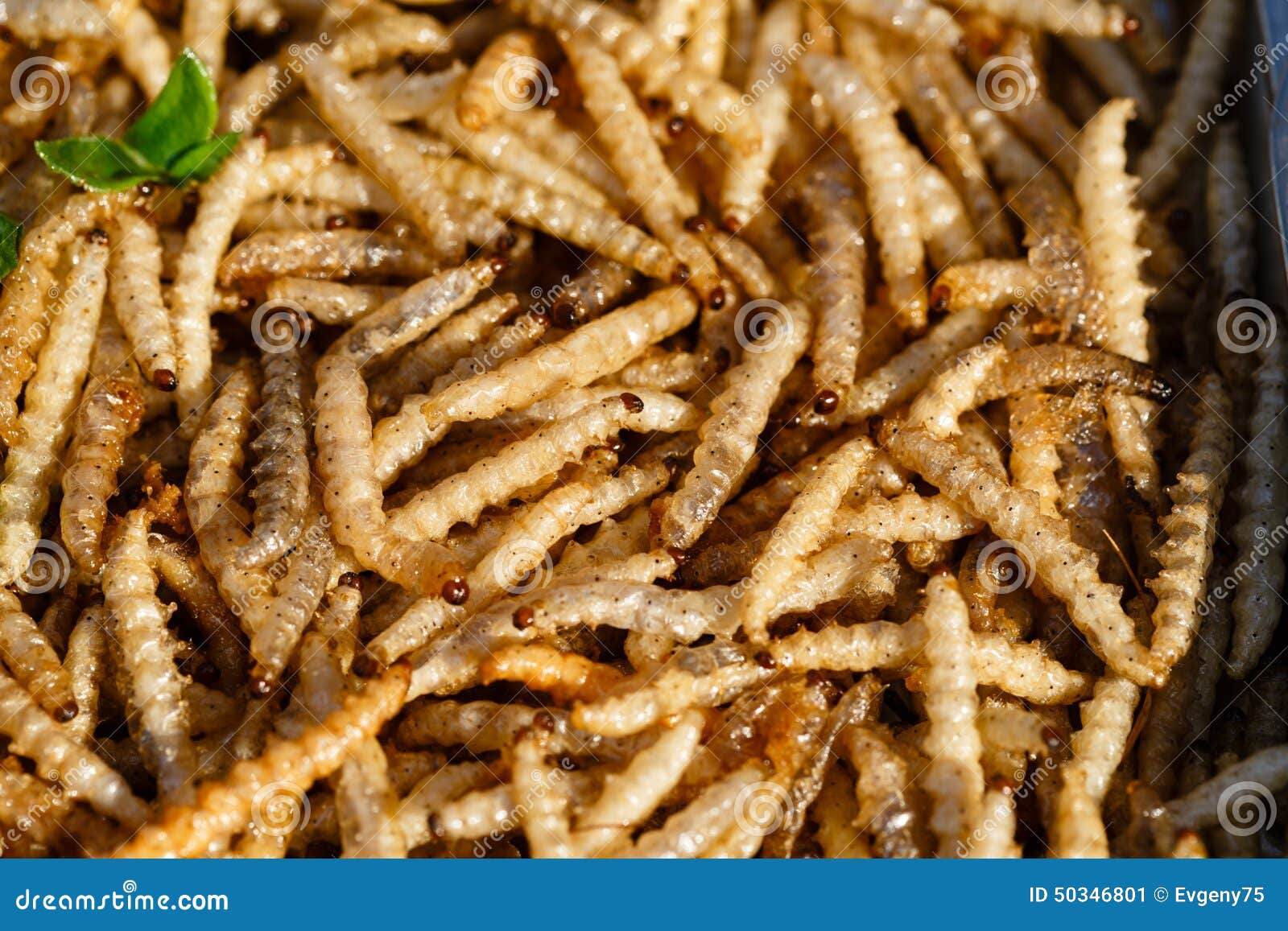 Traditional Thai Food Different Insects Stock Image - Image of protein ...