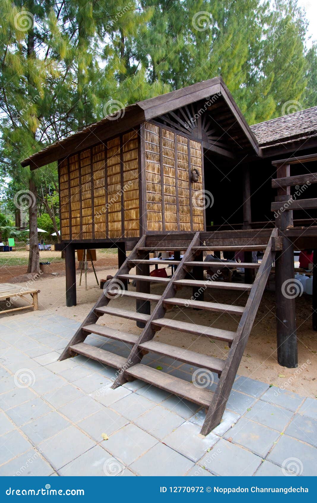 Thai House Cat, Siamese Cat Species Lay On Wooden Stock Photography ...