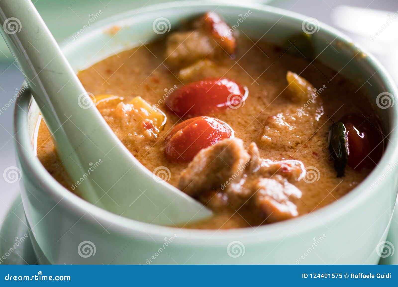Thai red curry with duck stock image. Image of spicy - 124491575