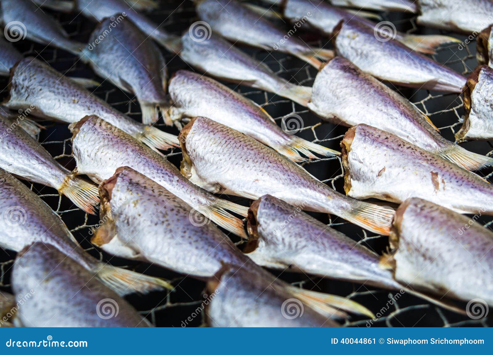 Traditional Thai Salted Fish Stock Image - Image of background, death ...