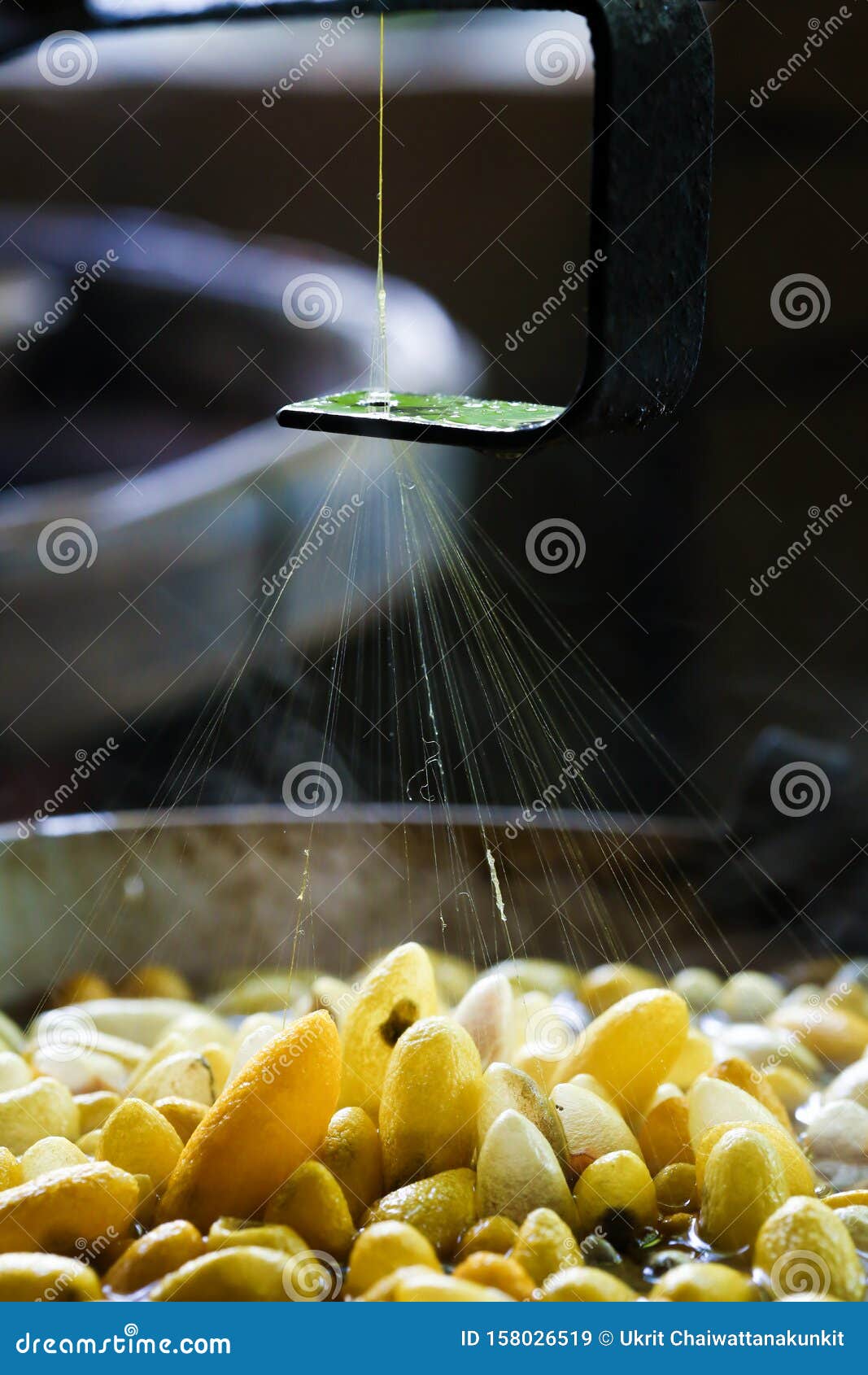 Traditional Thailand Processing Silk Thread from Cocoons, Silk ...