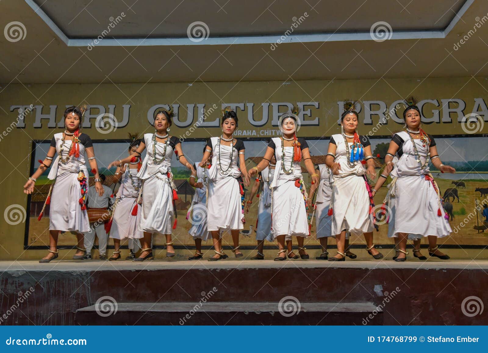 Traditional Tharu Dance at Sauraha in Nepal Editorial Stock Image ...