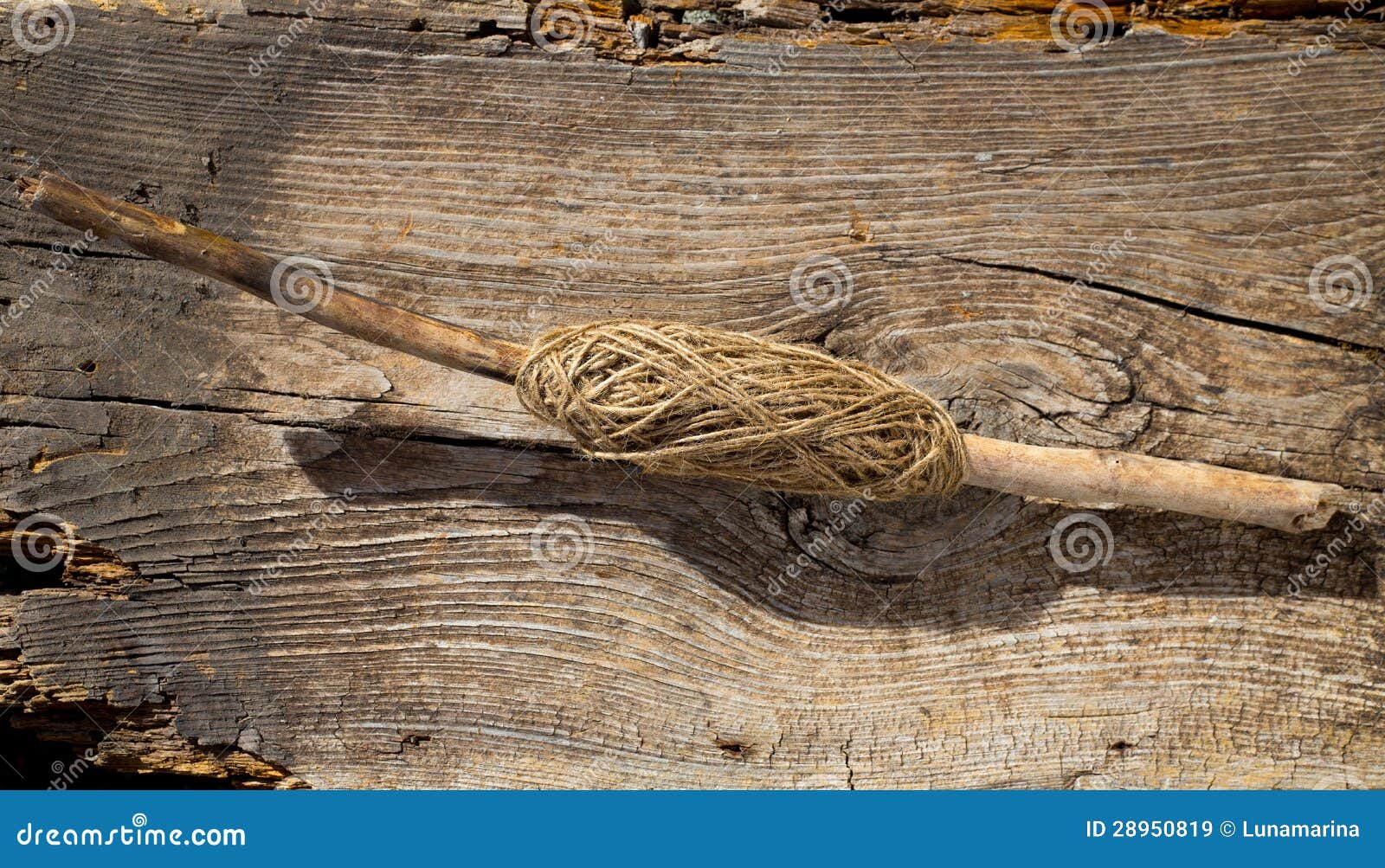 Traditional Thread Spool on Tree Stick Branch Stock Image - Image of ...