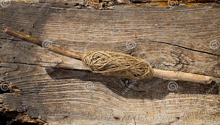Traditional Thread Spool on Tree Stick Branch Stock Image - Image of ...