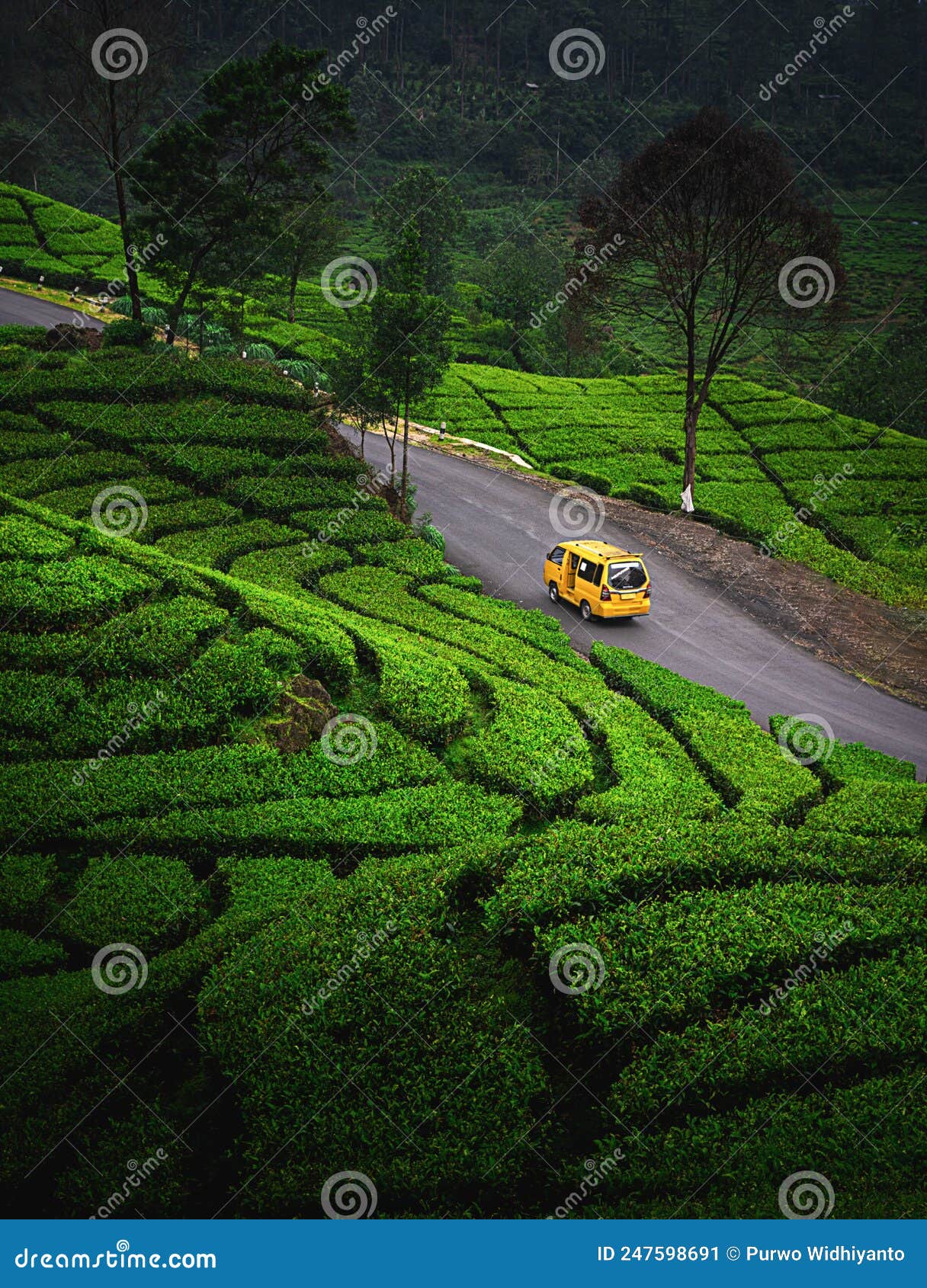 Traditional Transportation Beautiful Scenery Stock Image - Image of ...