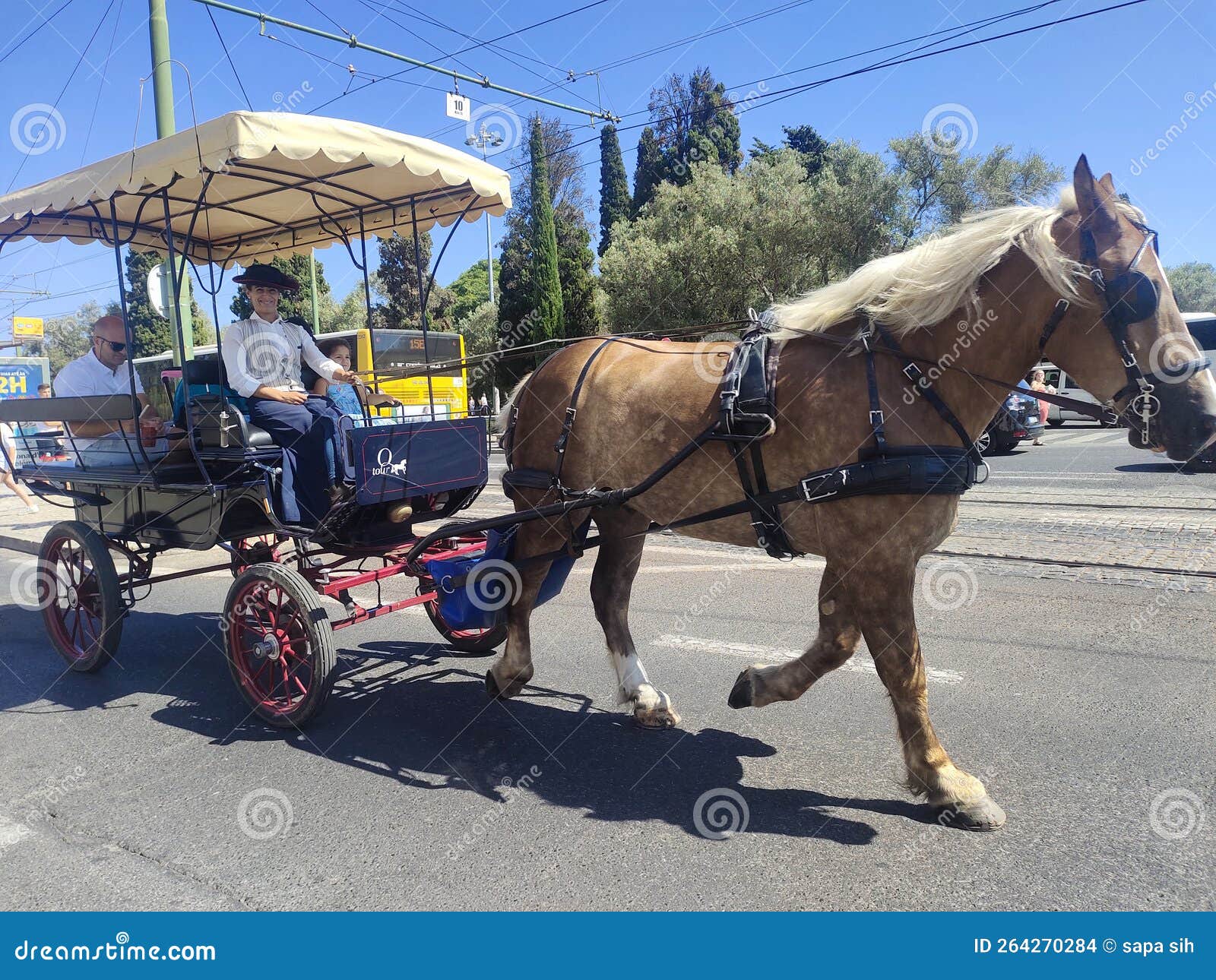 Traditional Transportation Horse Train Editorial Stock Image - Image of ...