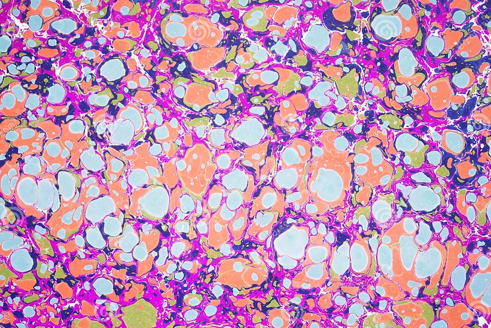 Traditional Turkish Marbled Paper Artwork Stock Photo - Image of ...