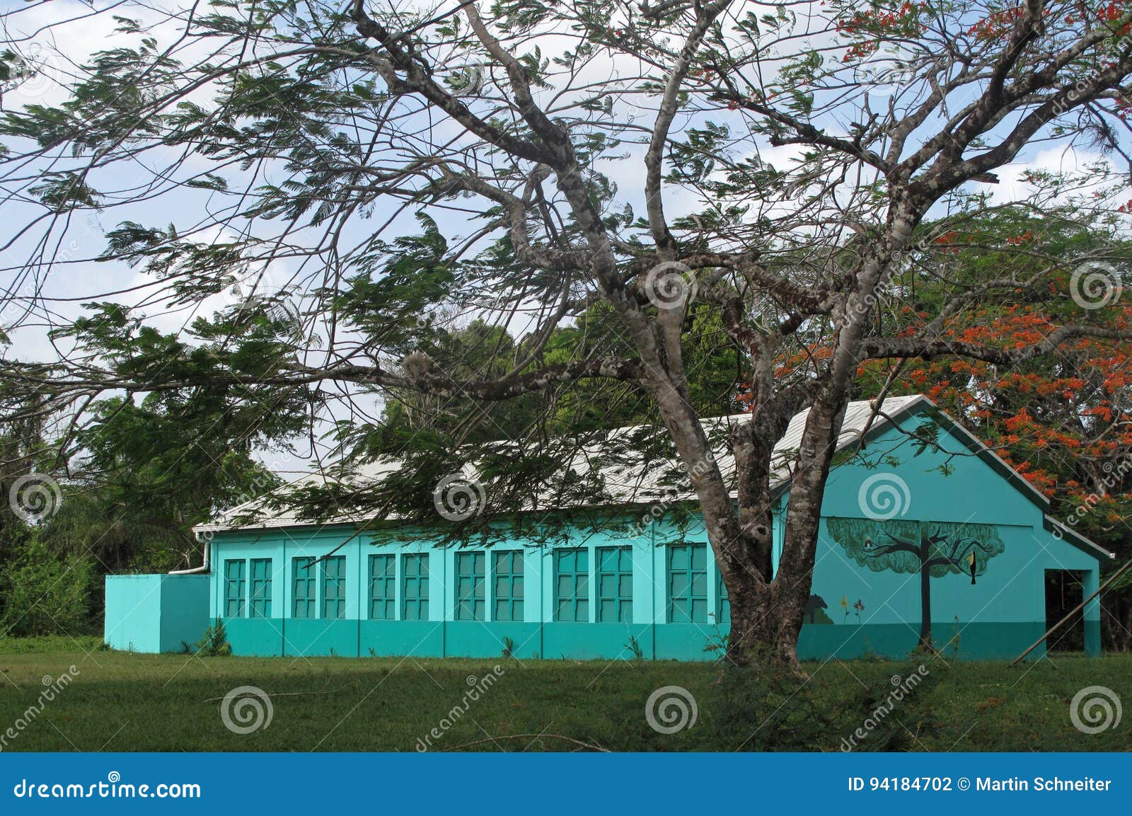 Traditional Typical Carribean House in Belize Stock Photo - Image of ...
