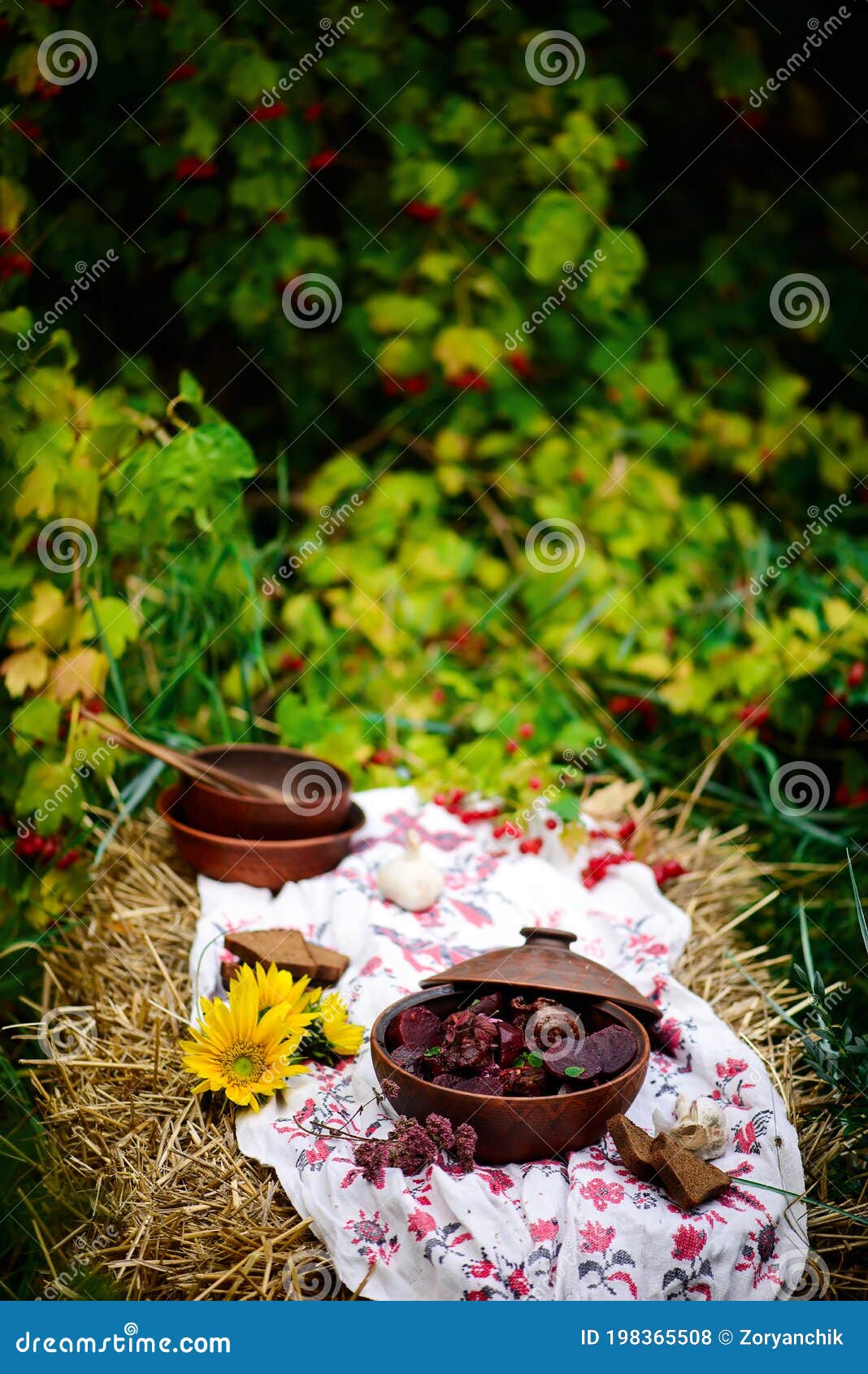 Traditional Ukrainian Stew with Beet Shpundrya. Stock Photo - Image of ...