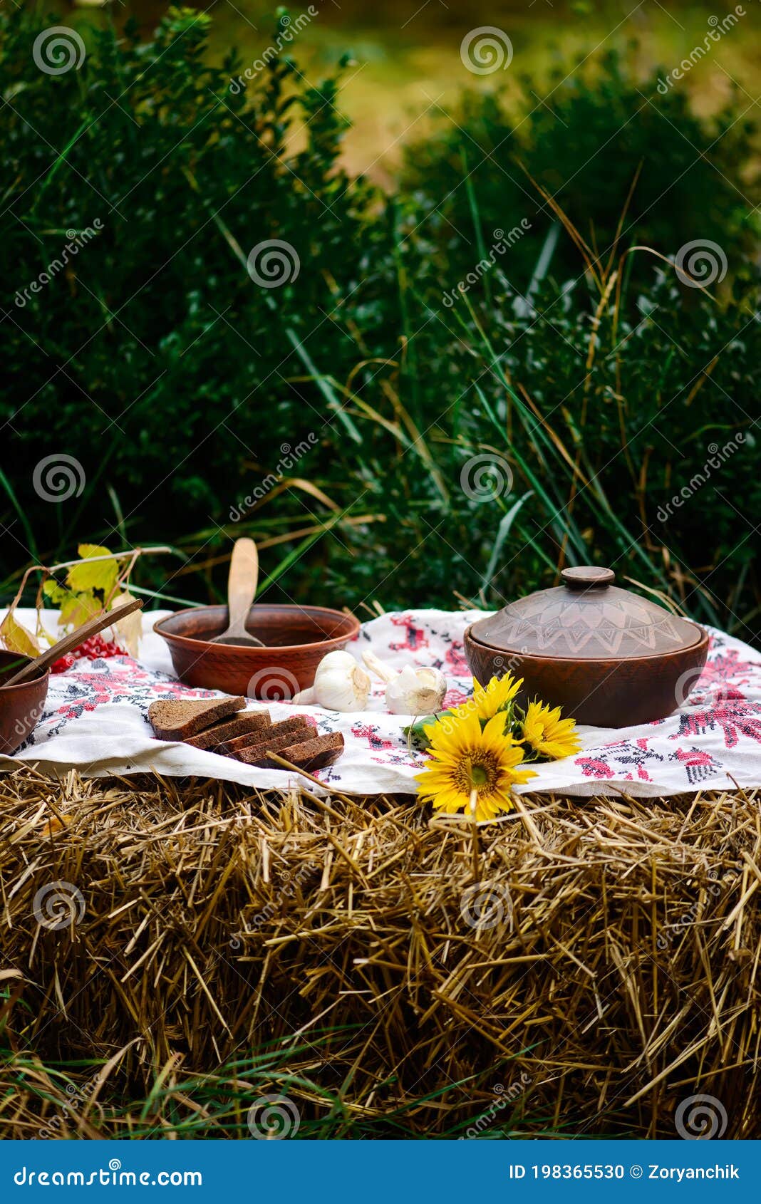 Traditional Ukrainian Stew with Beet Shpundrya. Stock Photo - Image of ...