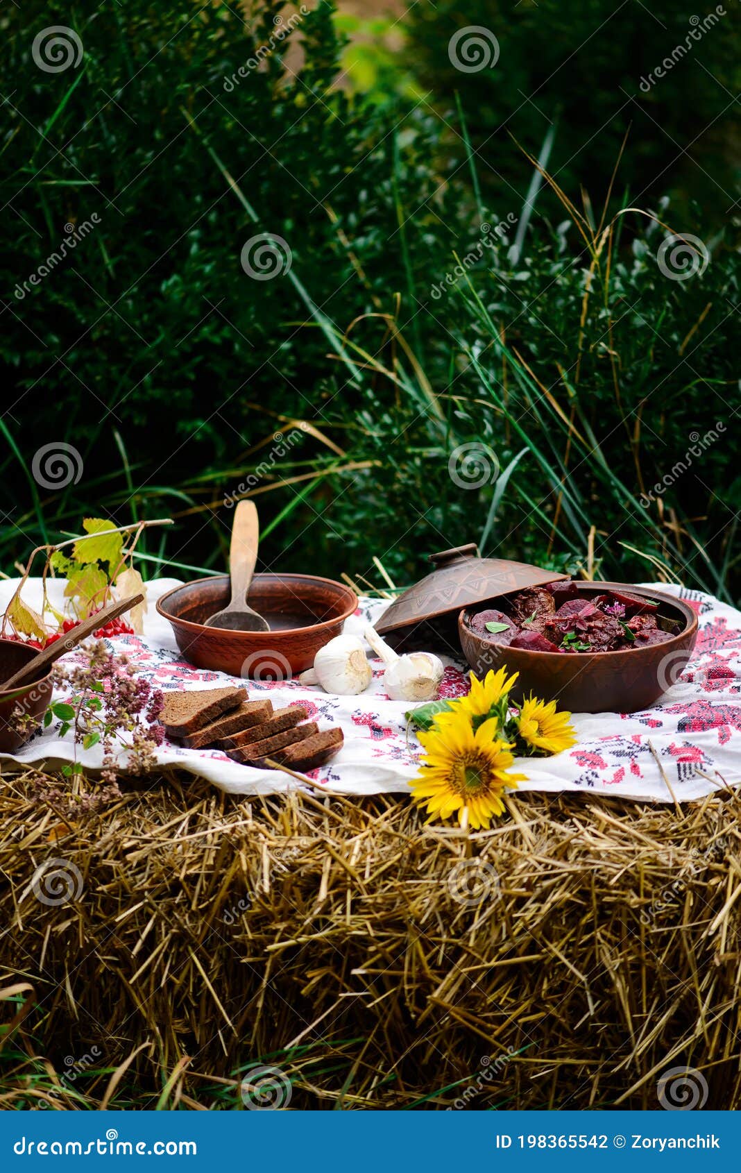 Traditional Ukrainian Stew with Beet Shpundrya. Stock Photo - Image of ...