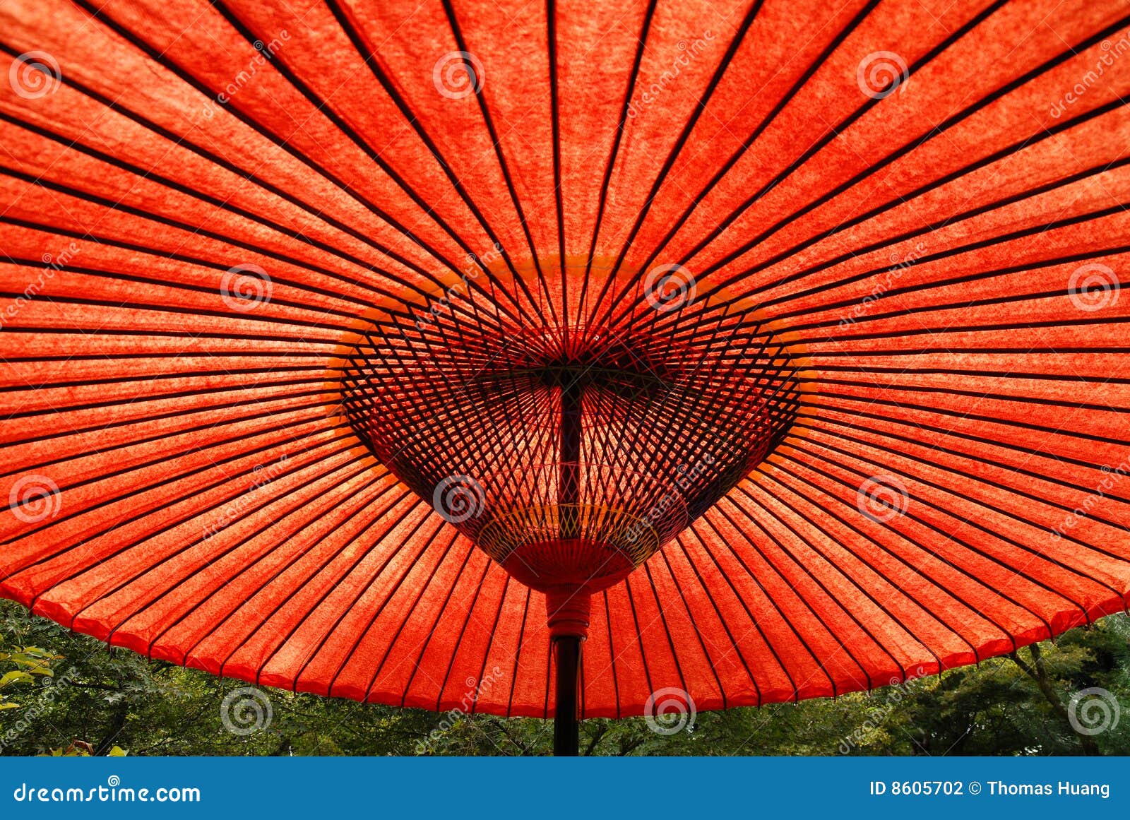 Traditional umbrella stock photo. Image of spread, flow - 8605702