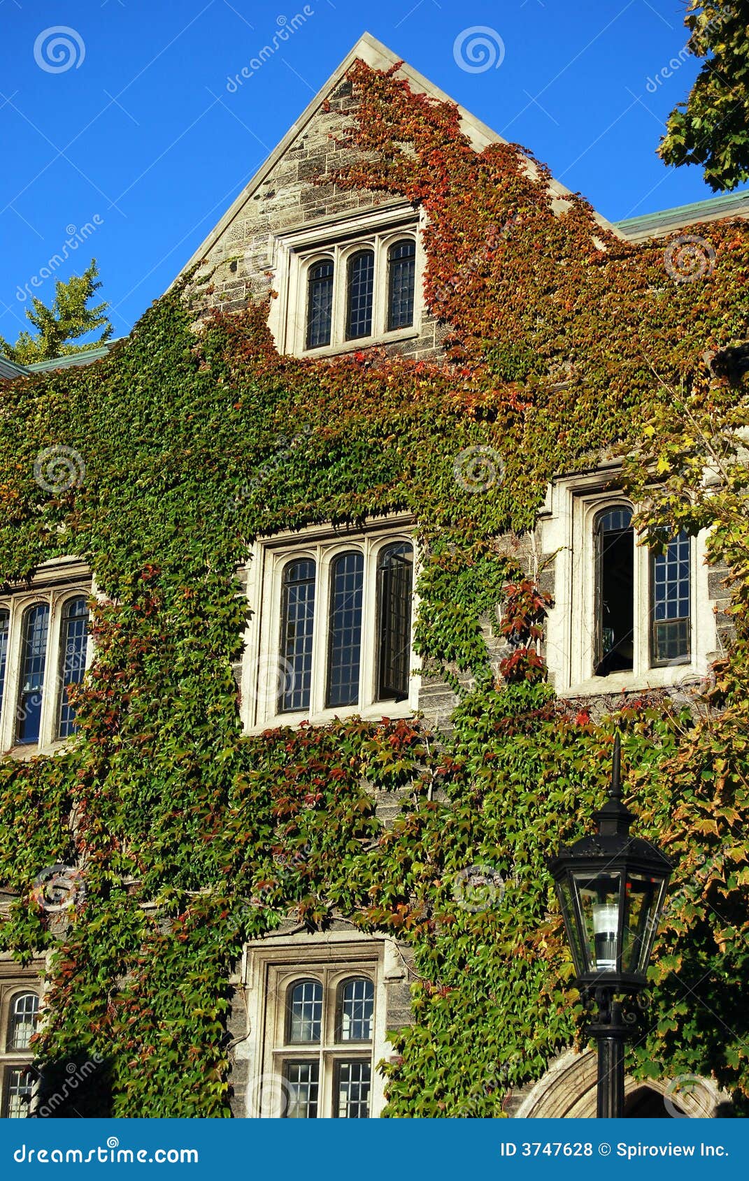Traditional University Building Stock Photo - Image of campus, window ...