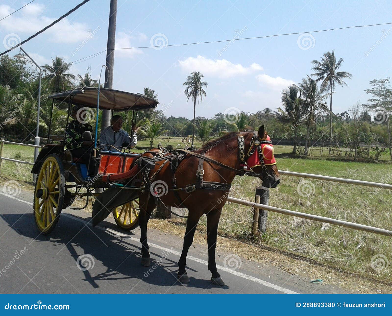 Traditional Vehicle for Traveling on Java, Indonesia Editorial Image ...