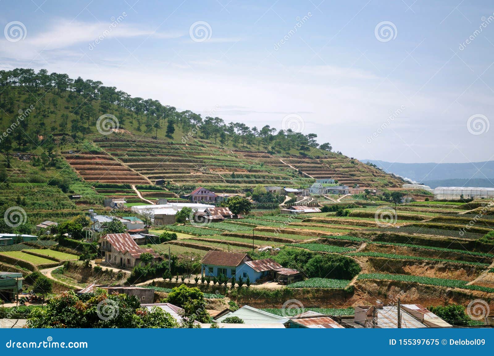 Traditional Vietnamese Farming Terraced Fields in the Vicinity of Dalat ...