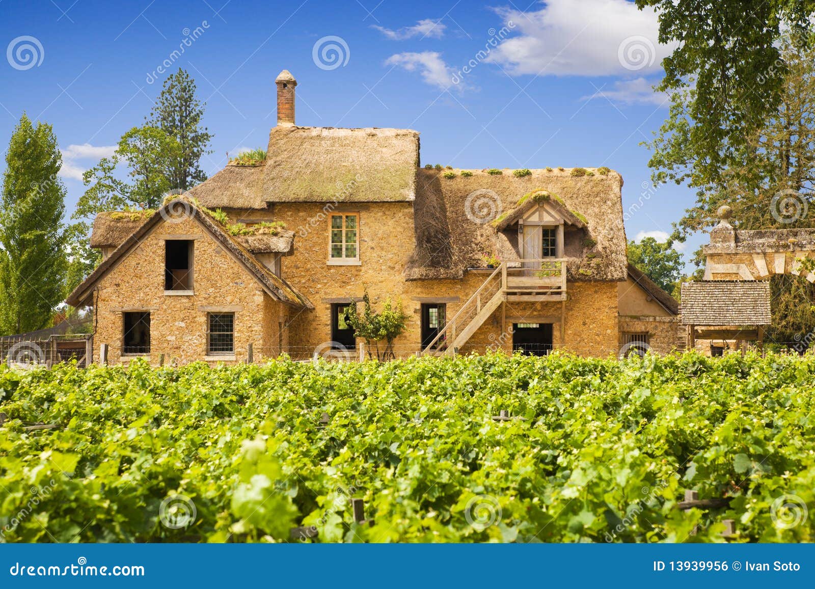 Traditional Vineyard and Old Farm Stock Photo - Image of vineyard ...