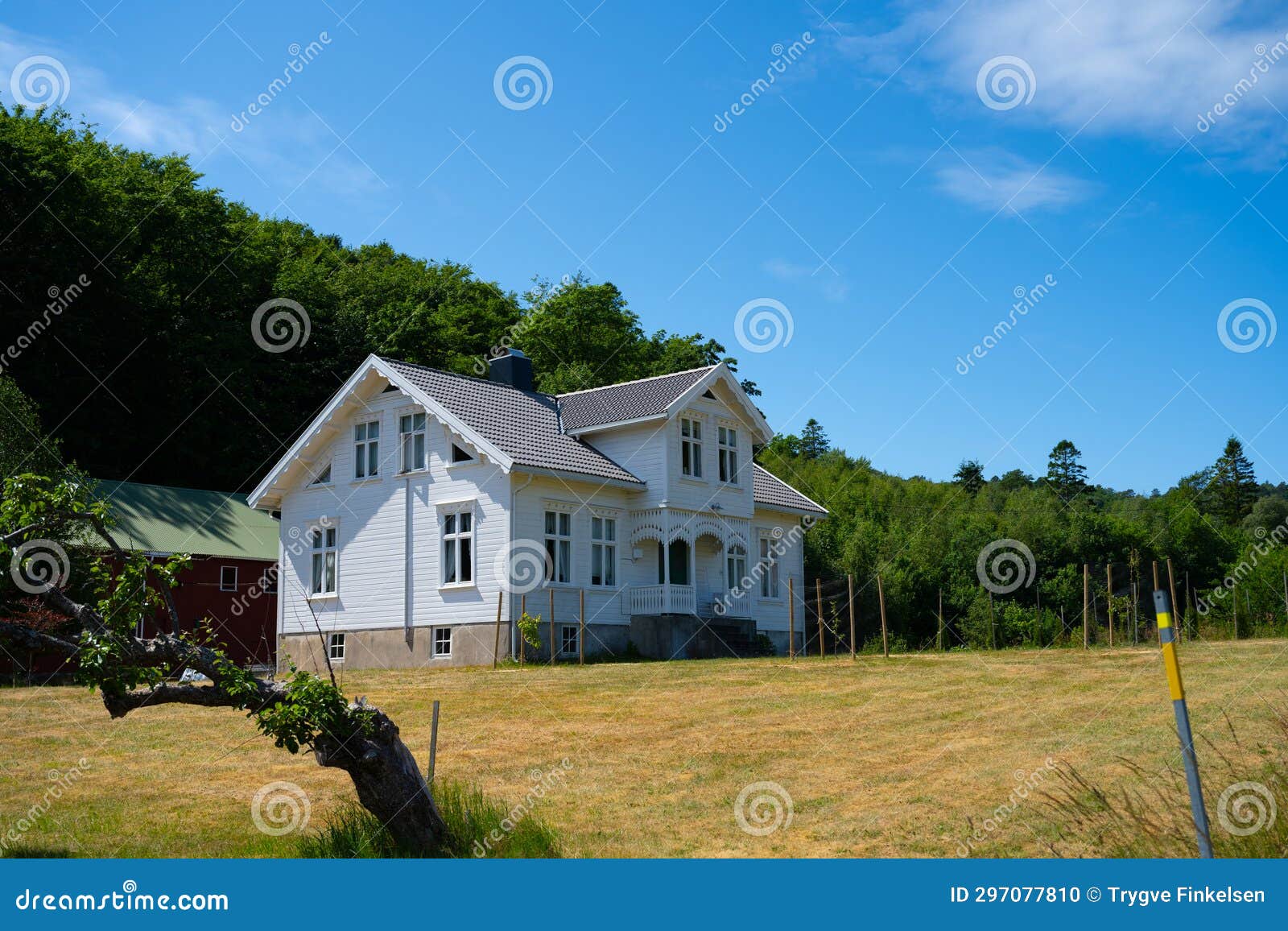 Traditional White Wooden House by a Forest.. Stock Photo - Image of ...