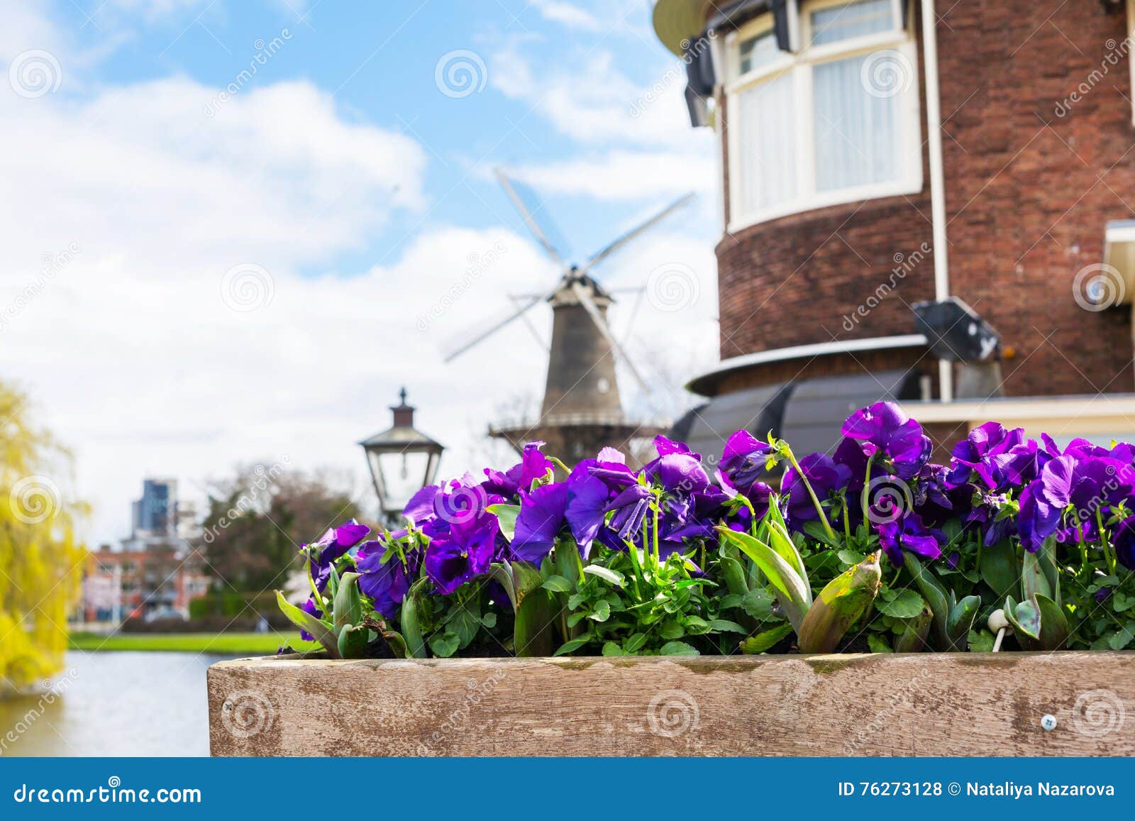 Traditional Windmill and Flowers, Netherlands Background Stock Photo ...