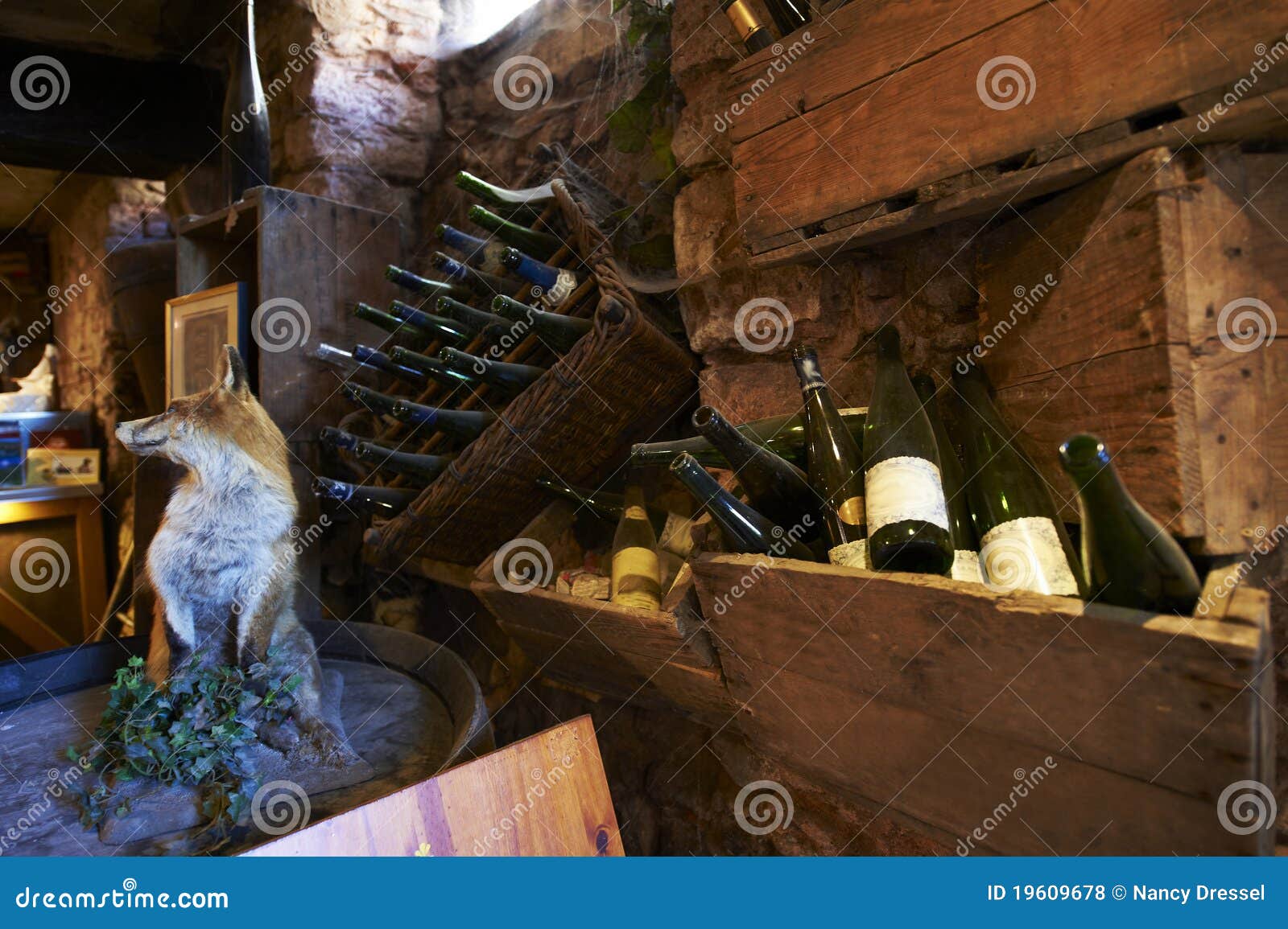 Traditional Wine Making Batanes Philippines Royalty-Free Stock ...