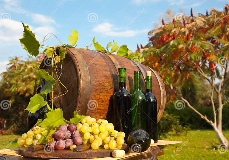 Traditional wine making stock image. Image of fresh, making - 26767147