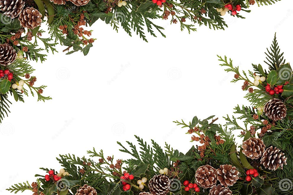 Traditional Winter Border stock image. Image of pine - 26890655