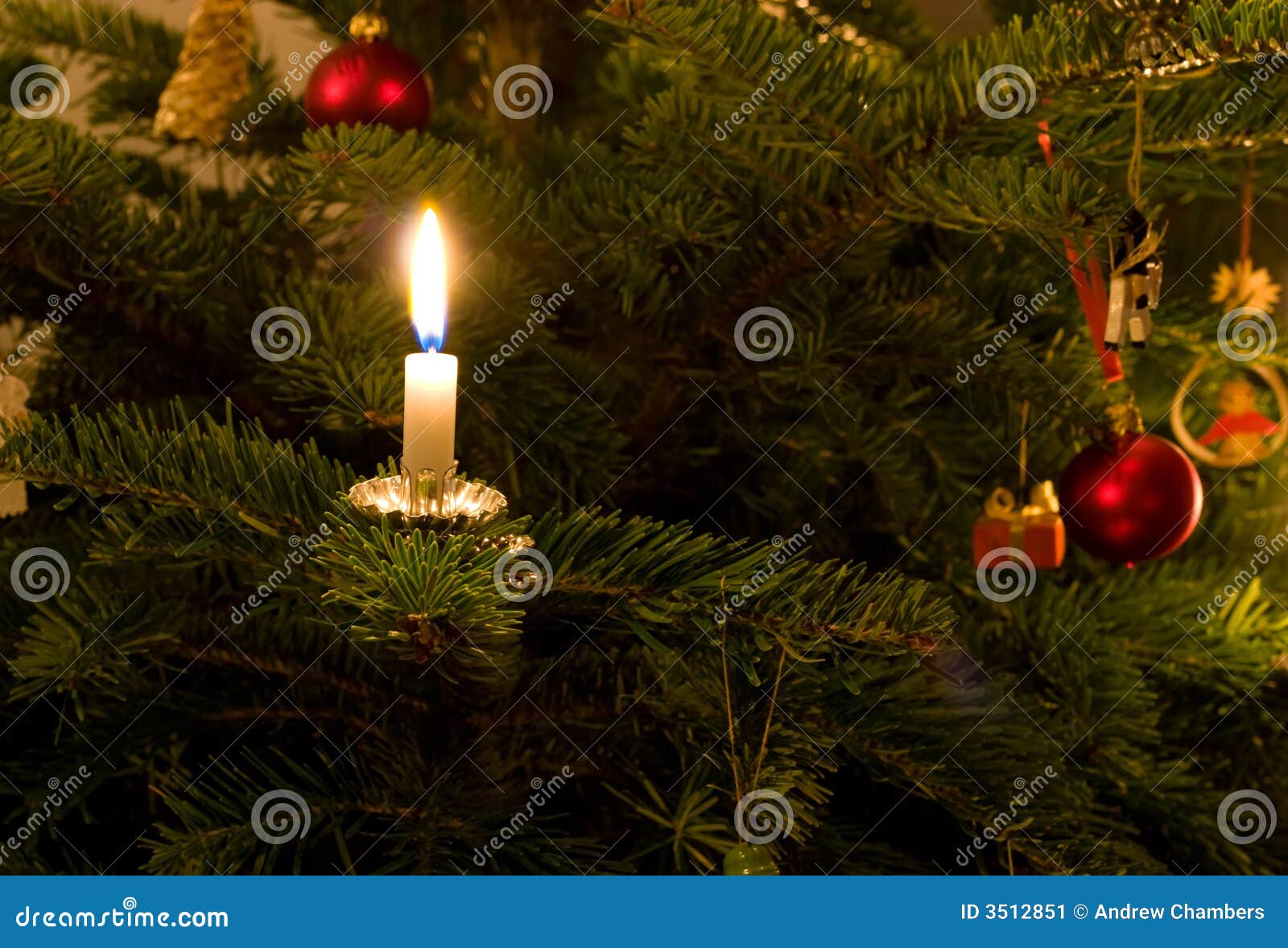 Traditional Xmas Tree stock image. Image of christmas - 3512851