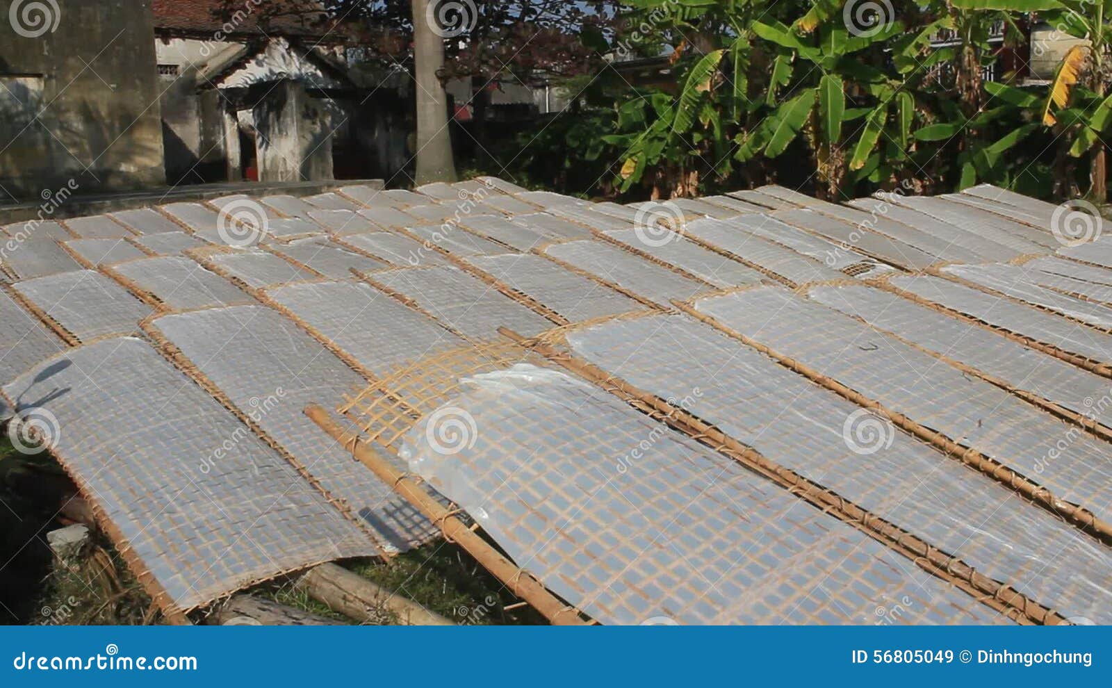 Traditionally Made Rice Paper Drying in Sun Stock Video - Video of ...