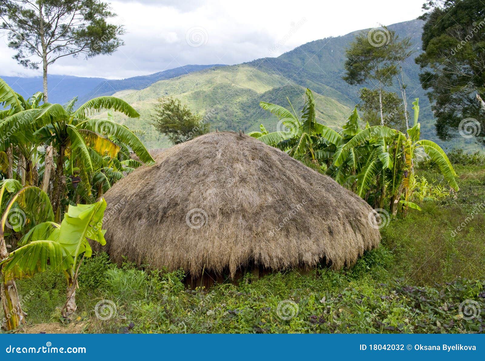 Traditioneel Dorp in Papoea, Indonesië. Stock Foto - Image of cultuur ...