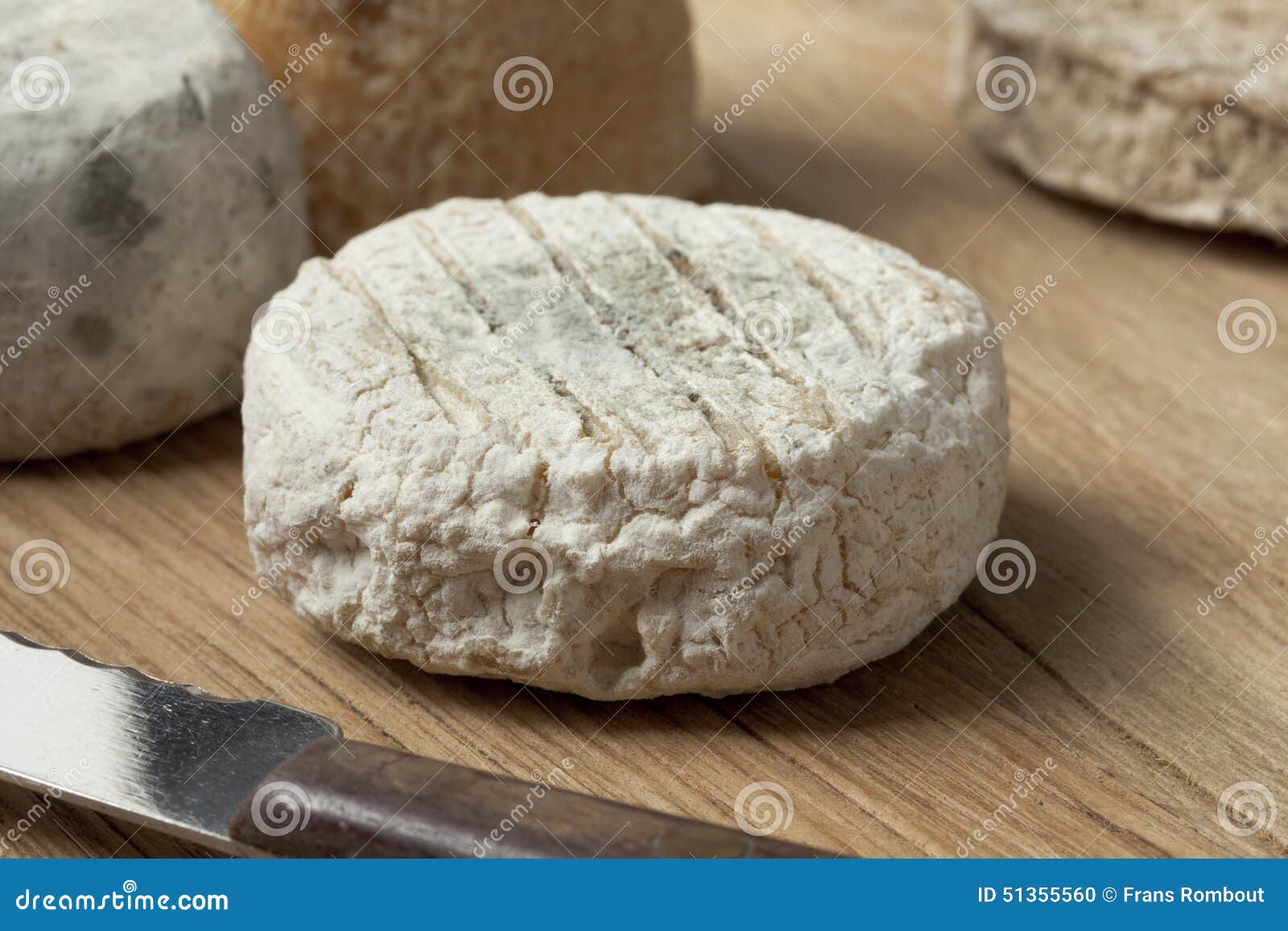 Traditionell fransk getost arkivfoto. Bild av gourmet - 51355560