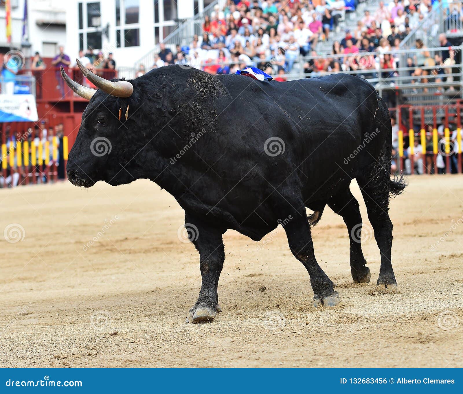Tradizionale Spagnolo Del Toro in Spagna Fotografia Stock - Immagine di ...