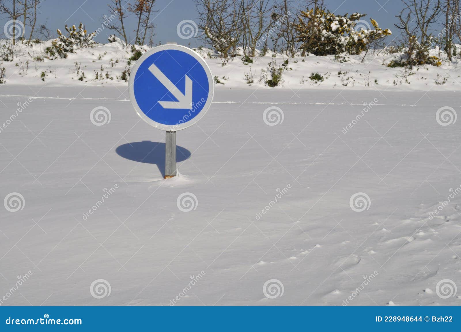 Traffic arrow sign on snow stock photo. Image of directional - 228948644