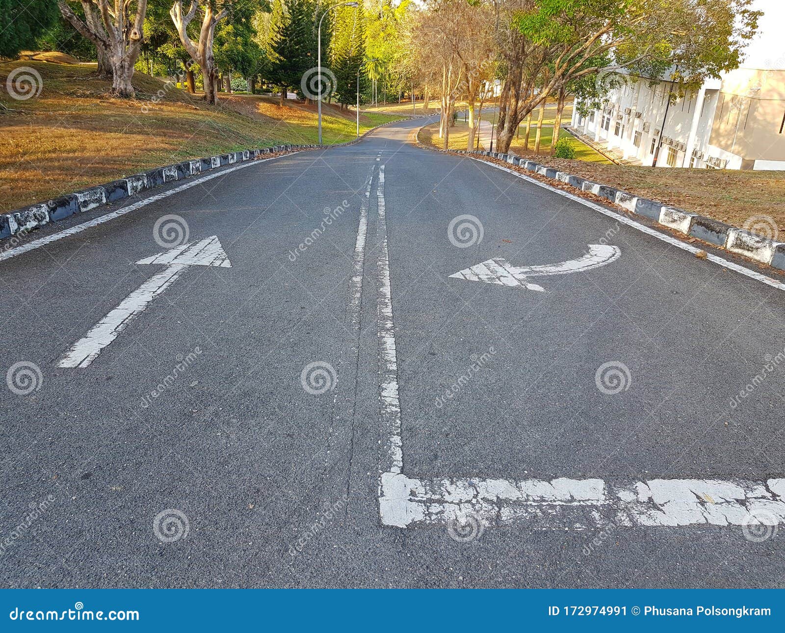 Traffic Arrow Signs on Street Stock Image - Image of traffic, signs ...