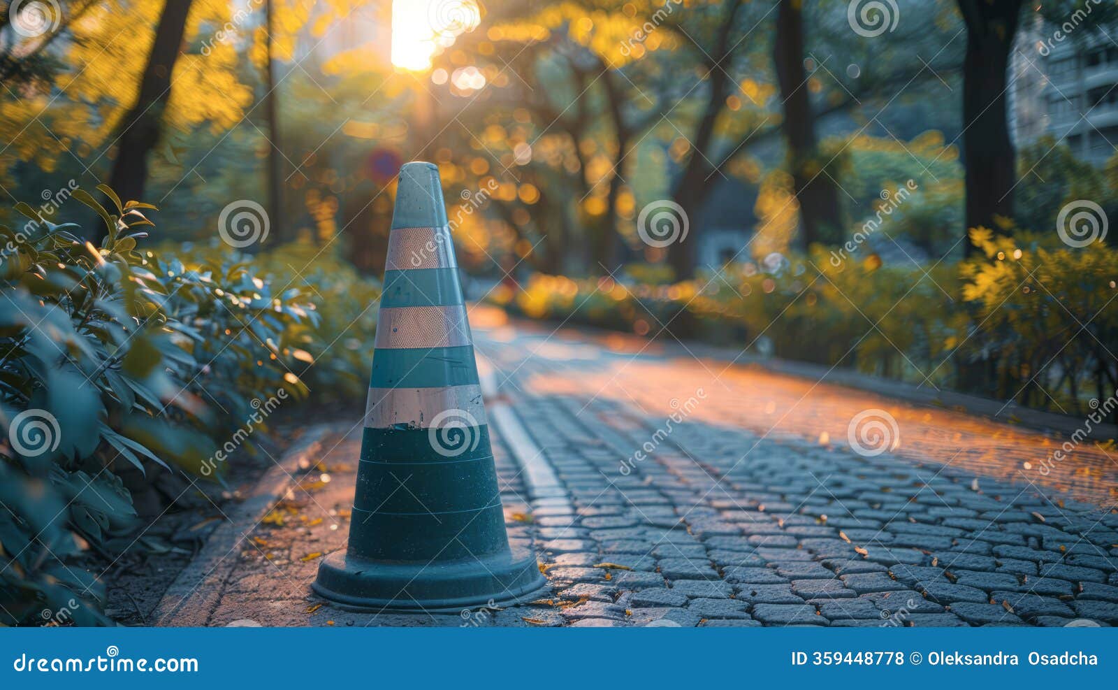 Traffic Cone on a Tree-lined Pathway during Sunset. Stock Photo - Image ...
