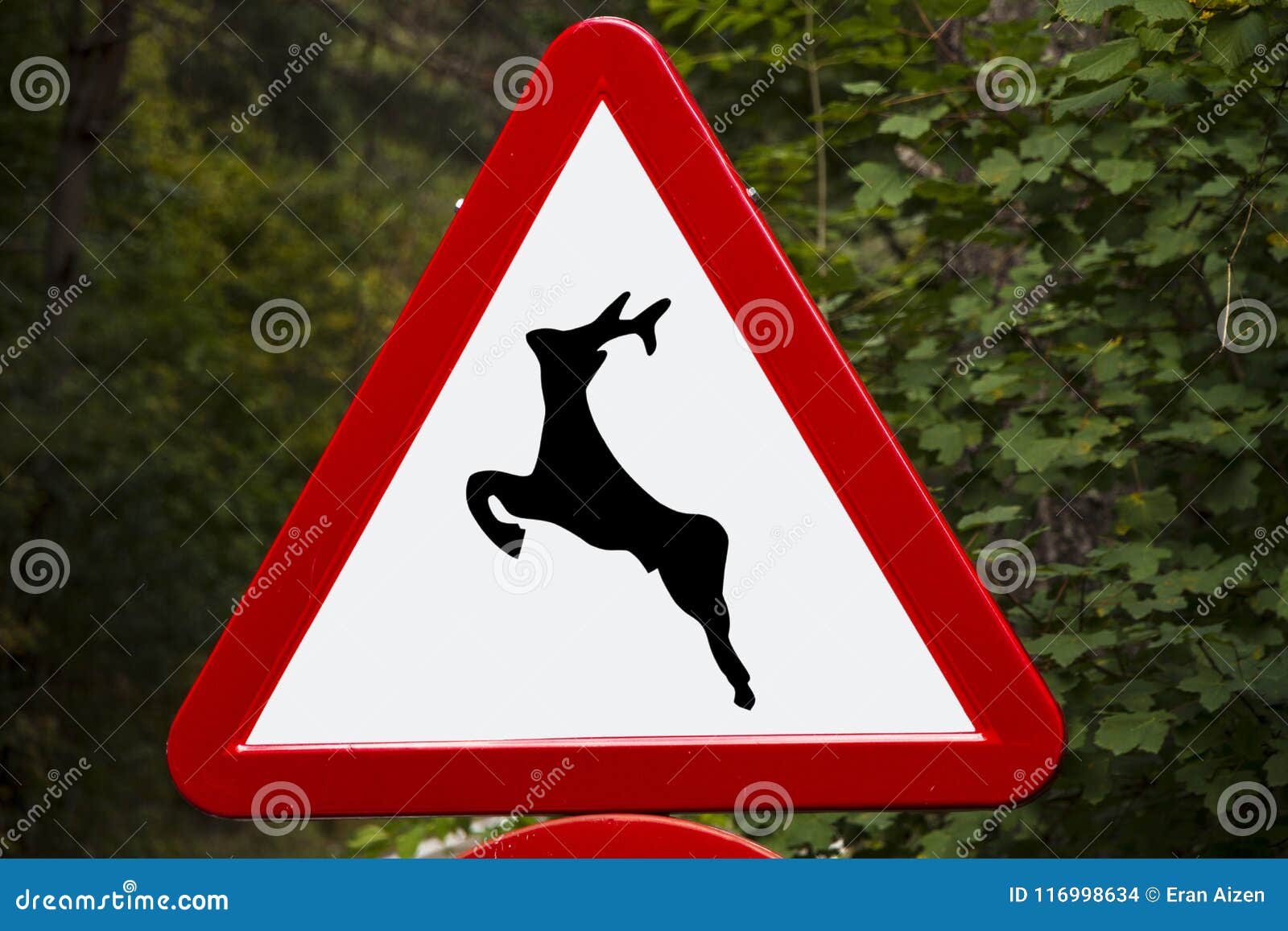 Traffic Deer Road Warning Sign - Spain Stock Photo - Image of crossing ...
