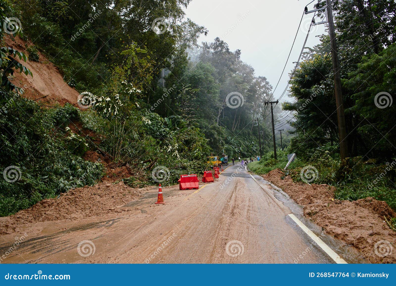 Traffic Jam on a Mountain Road. Fallen Tree Tree Blocking the Road ...
