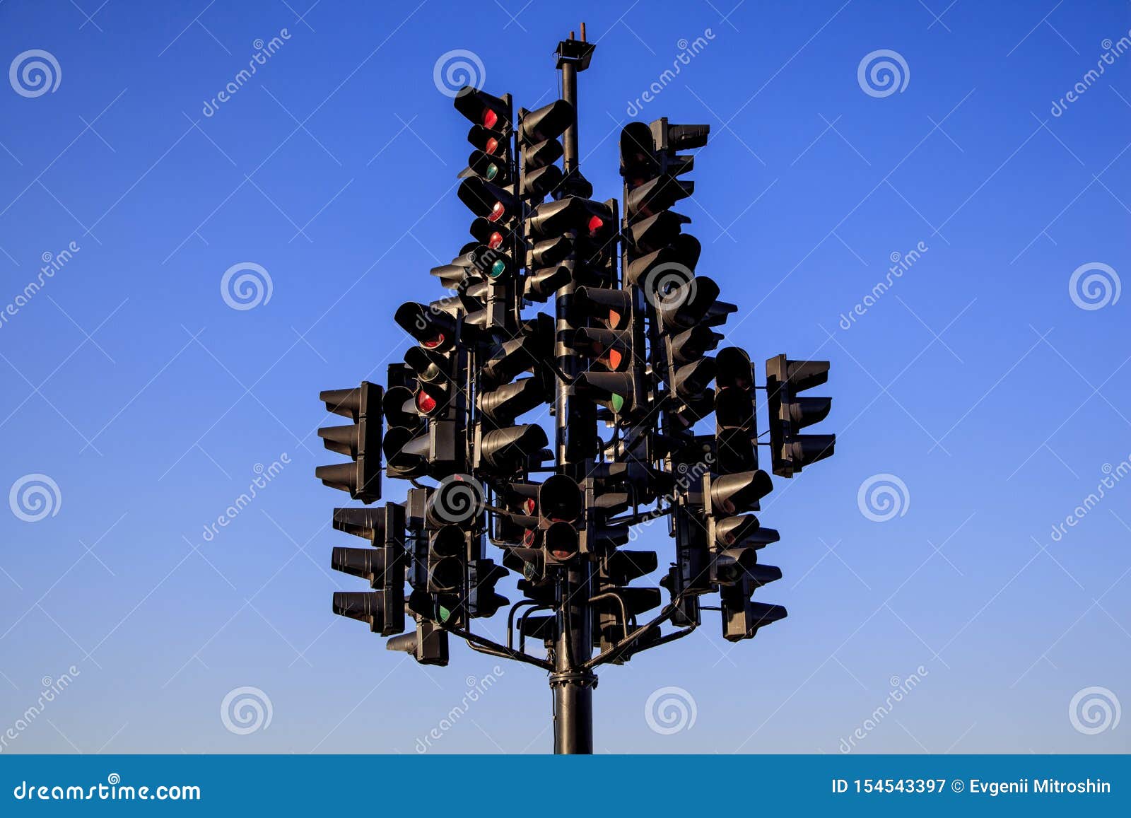 Traffic Light in the Form of a Large Tree Stock Image - Image of street ...