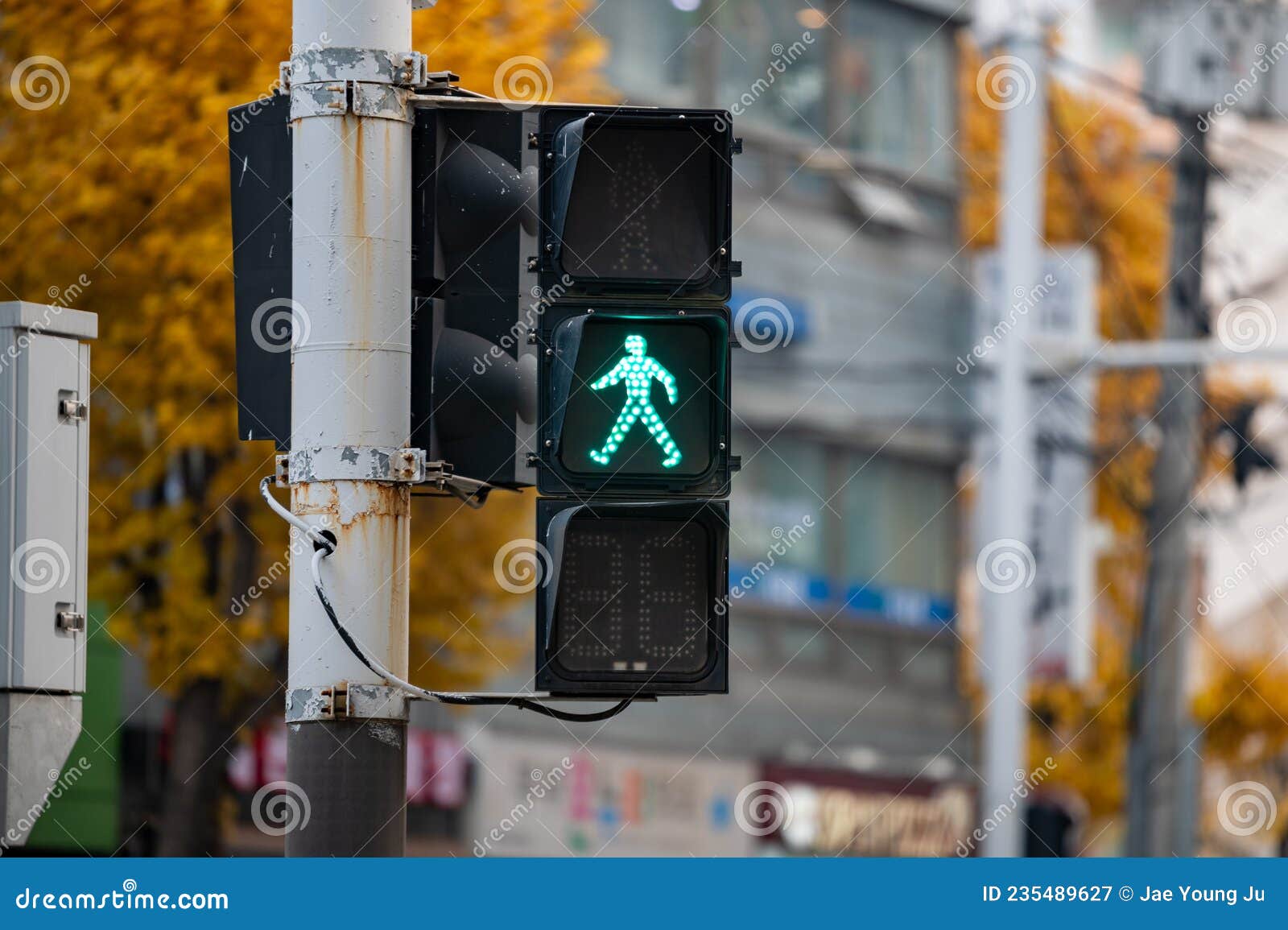 A Traffic Light with a Green Pedestrian Traffic Light on. South Korea ...