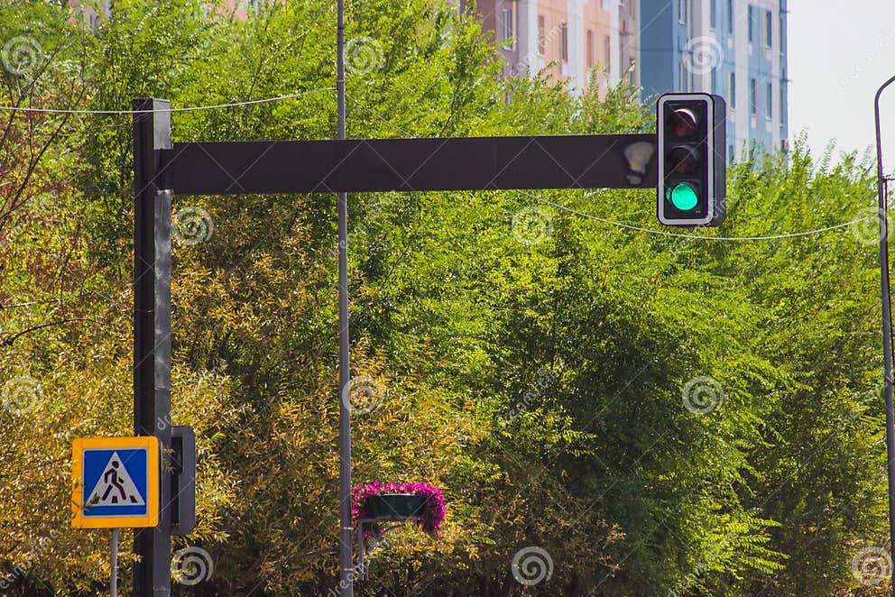Traffic Light Post Green Light Timer with Trees Stock Image - Image of ...
