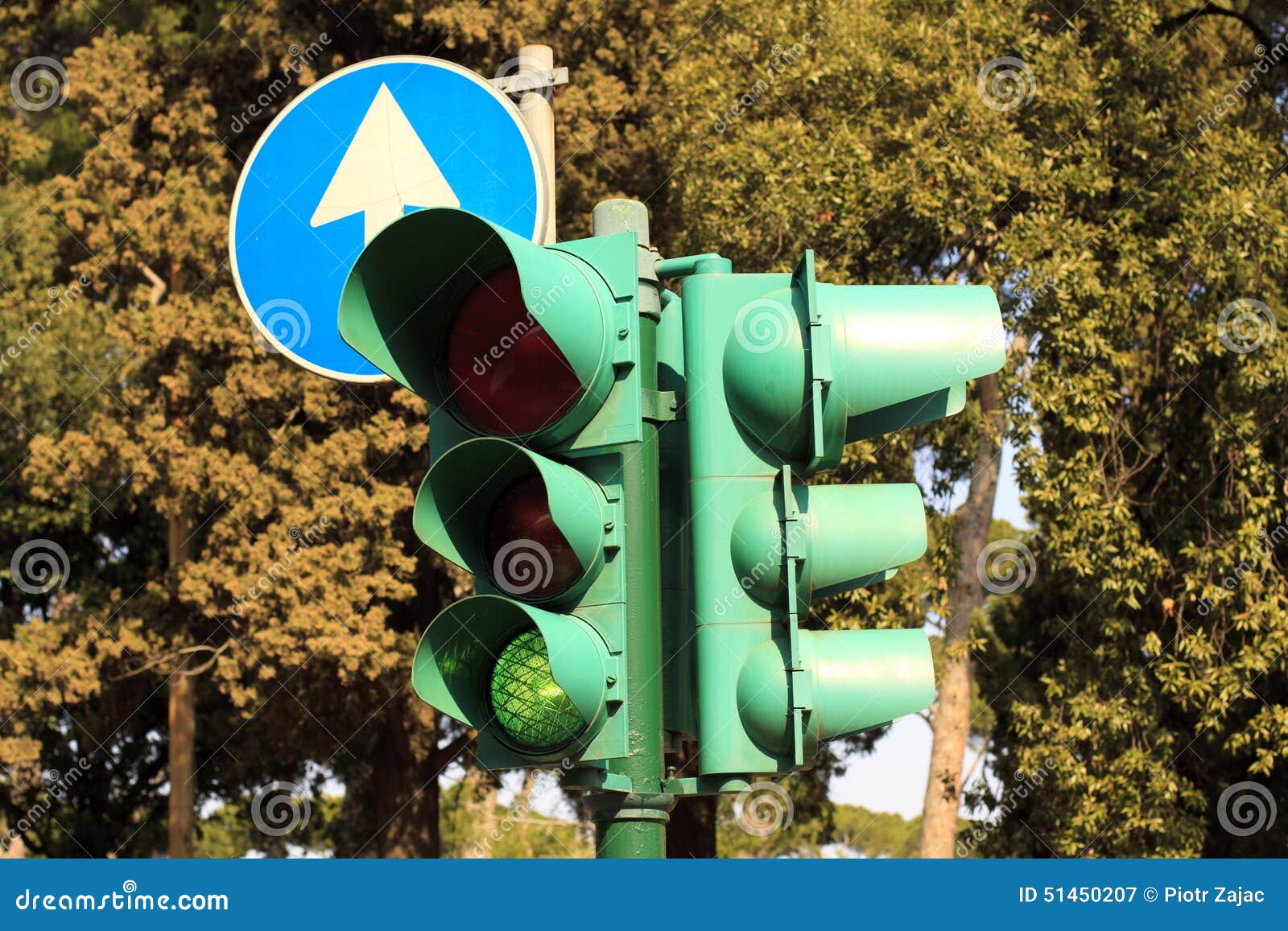 Traffic light stock image. Image of street, light, tree - 51450207