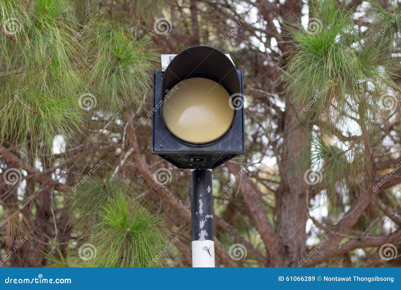 Traffic light stock image. Image of white, nature, brown - 61066289