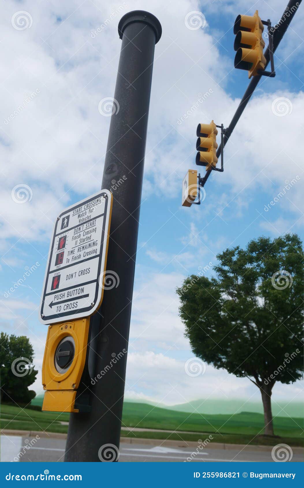 Traffic Lights and Cross Walk Button at an Intersection Stock Image ...