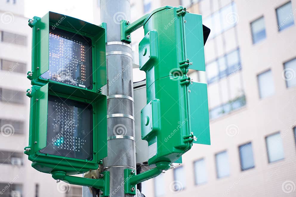 Traffic Lights Installed on Poles in the Capital Stock Image - Image of ...