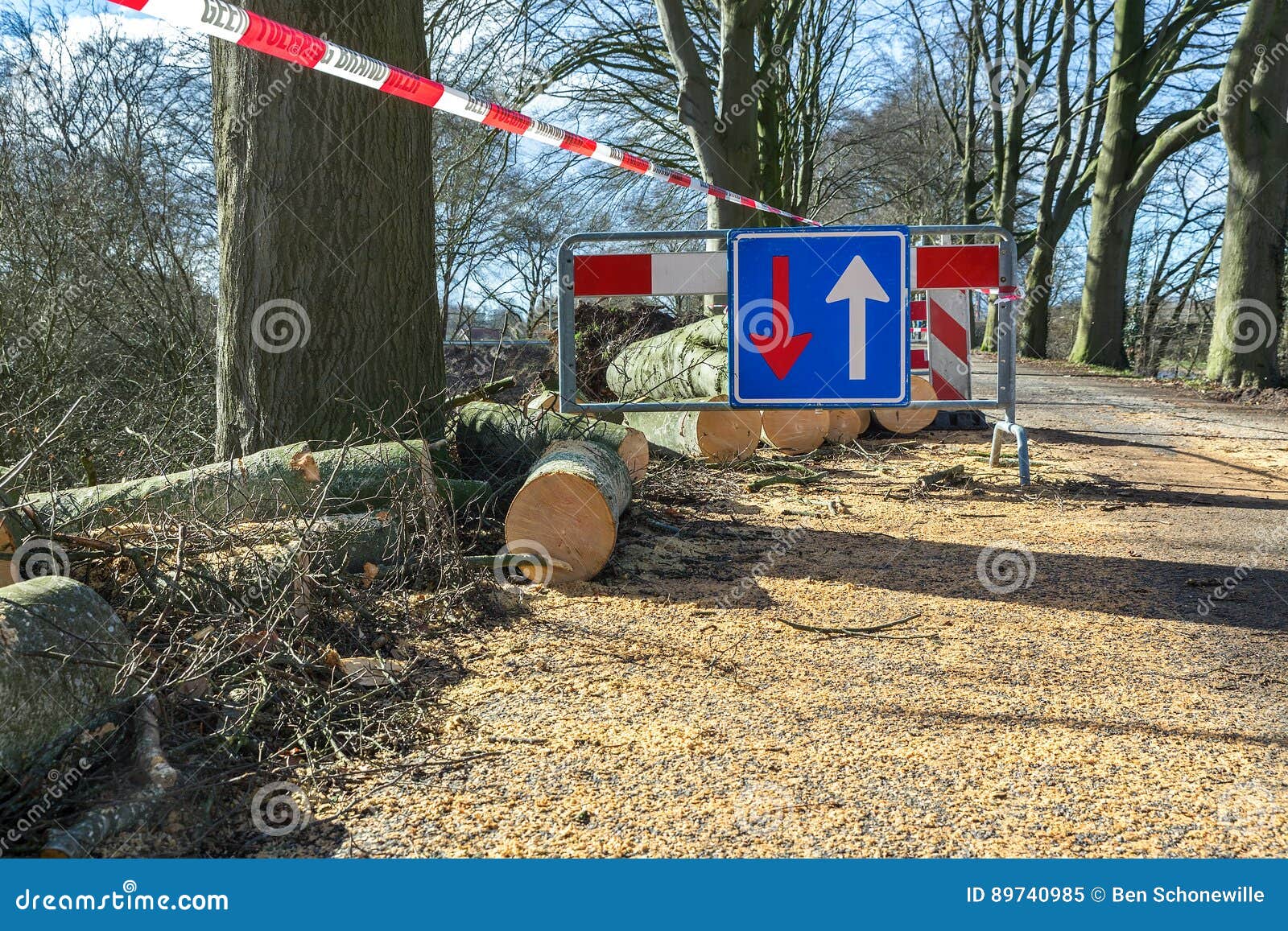 Traffic Problems Traffic Sign Storm Damage Fallen Tree Stock Image ...