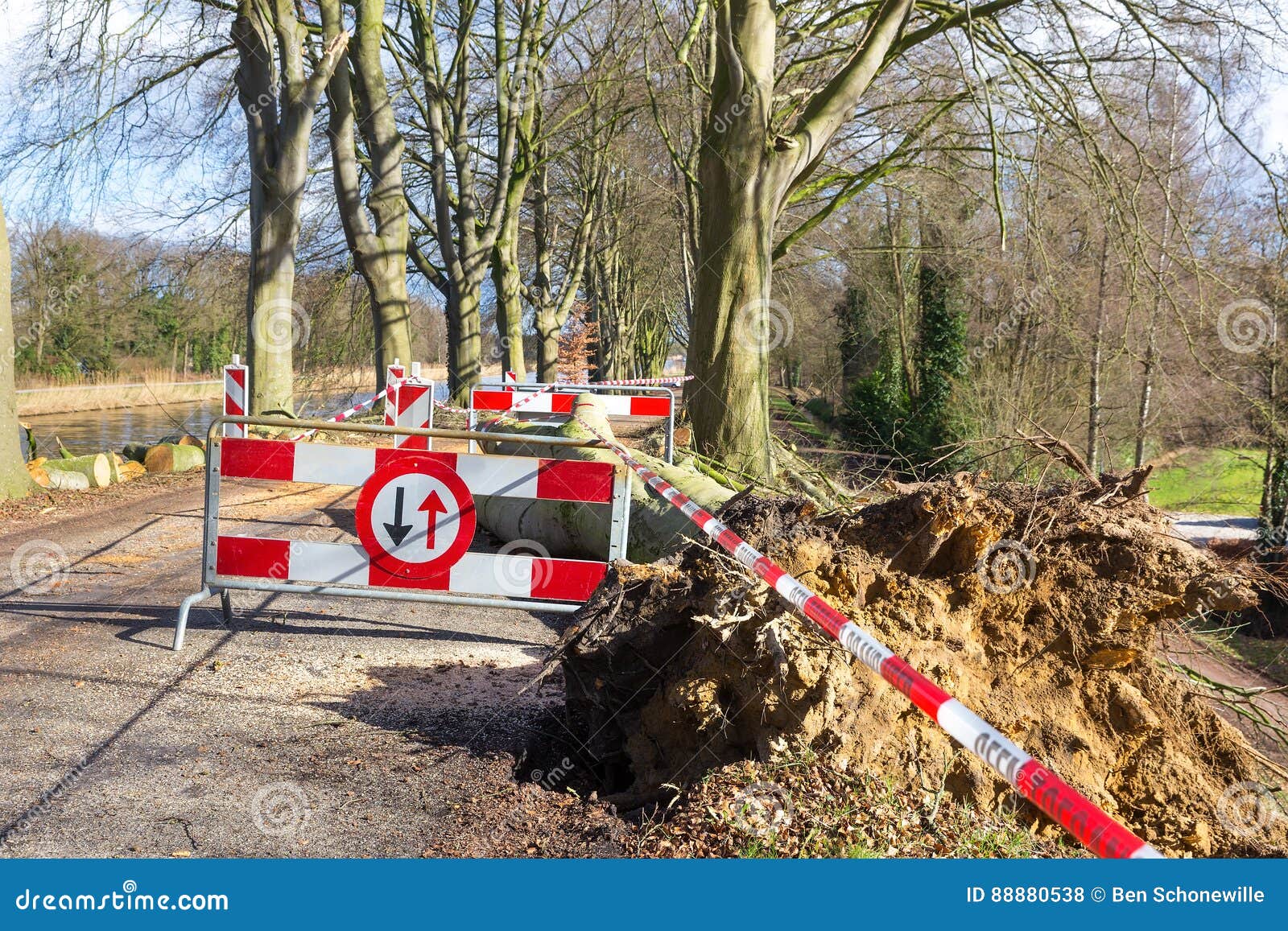 Traffic Problems Traffic Signs Storm Damage Fallen Tree Stock Photo ...